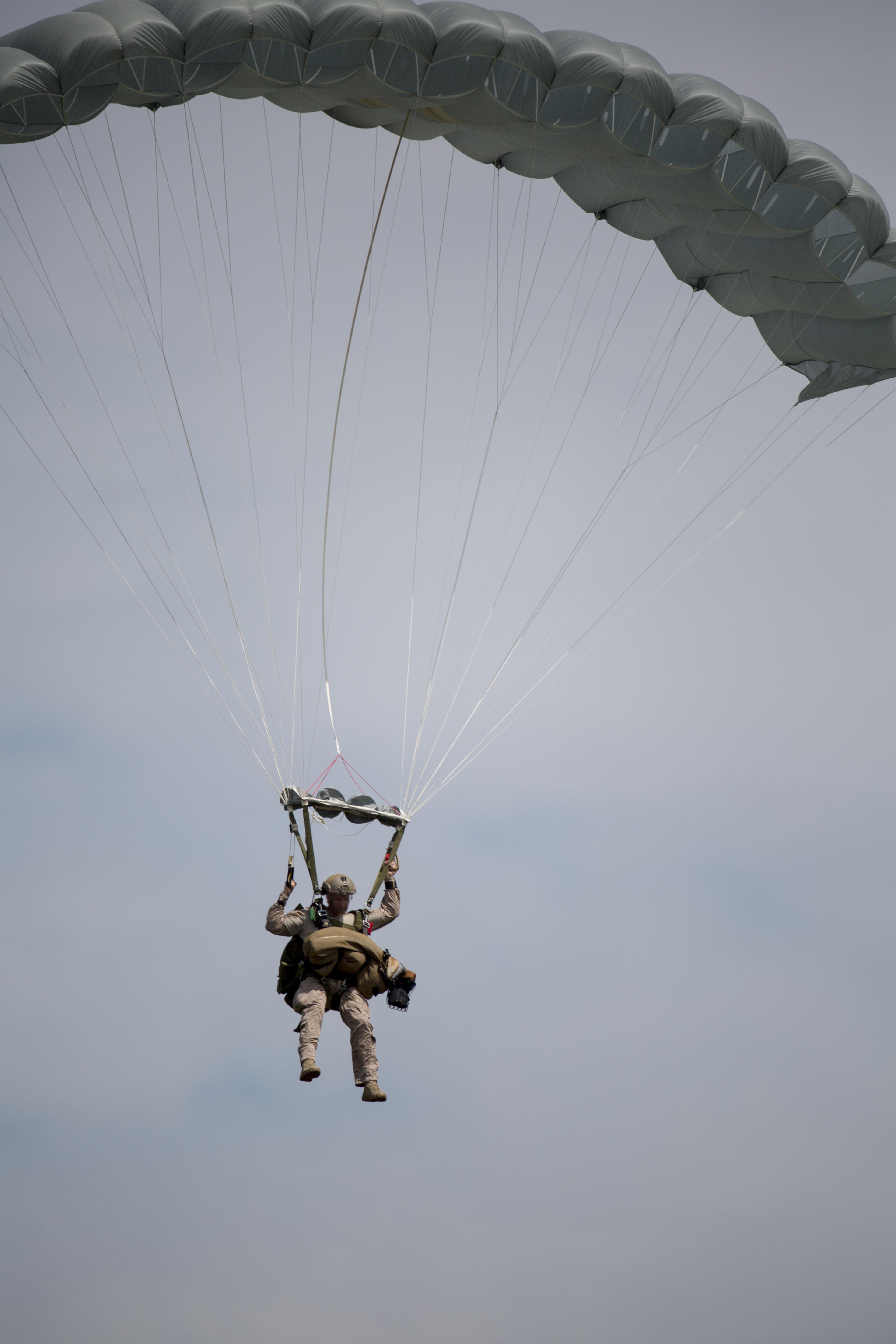 Multi-Purpose Canines take to the skies
