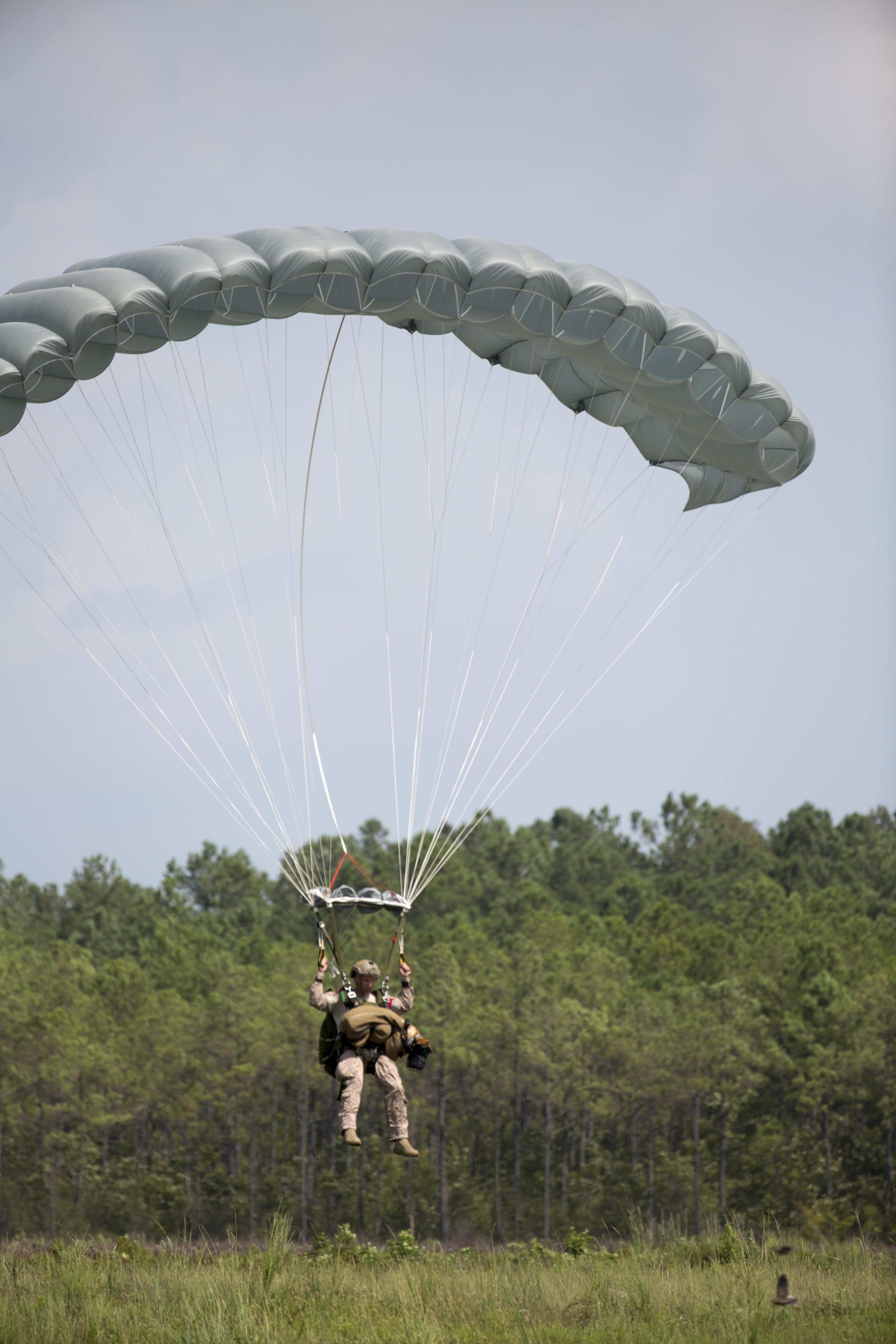 Multi-Purpose Canines take to the skies