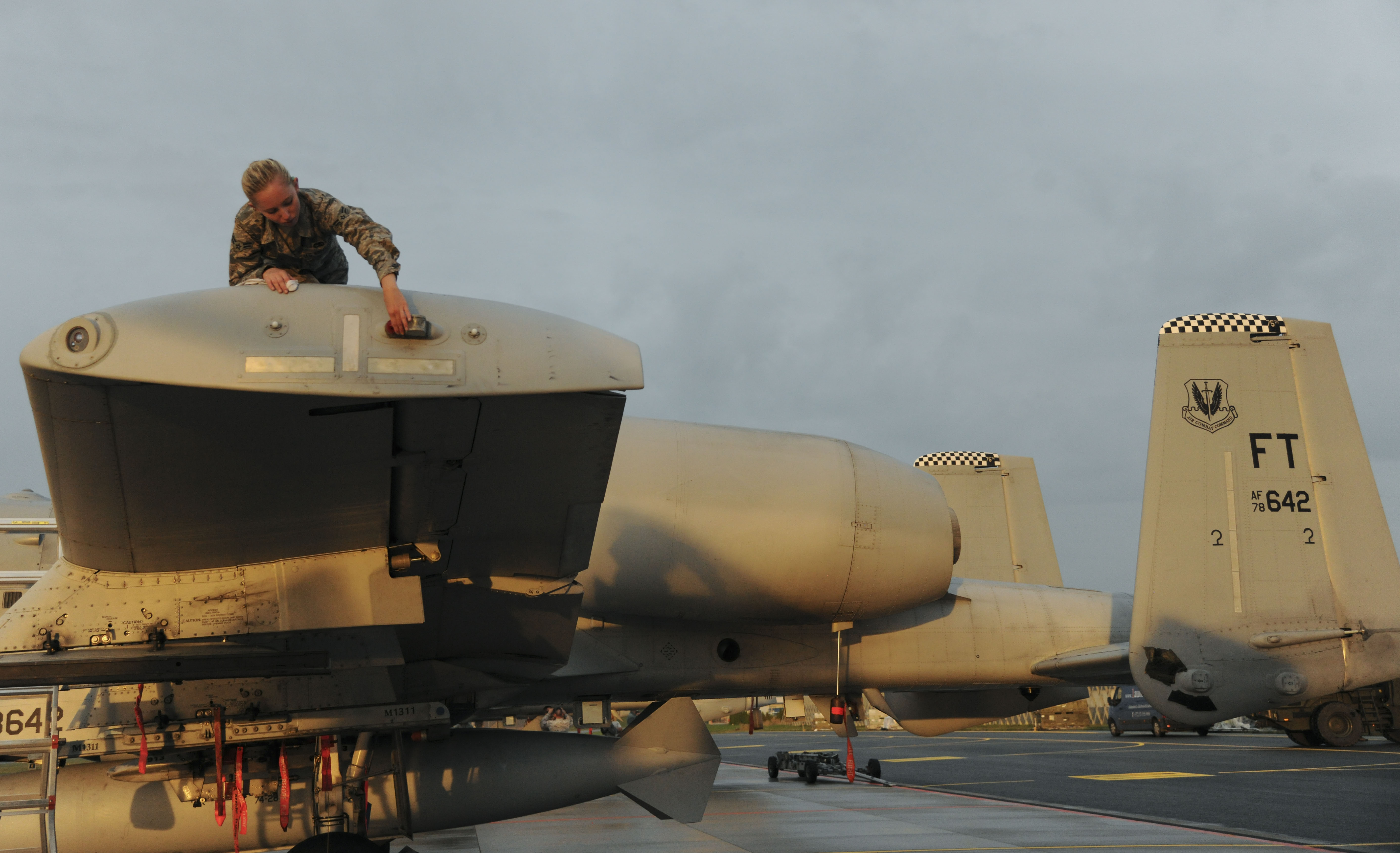 Flying Tigers land in Estonia > Air Combat Command > Article Display