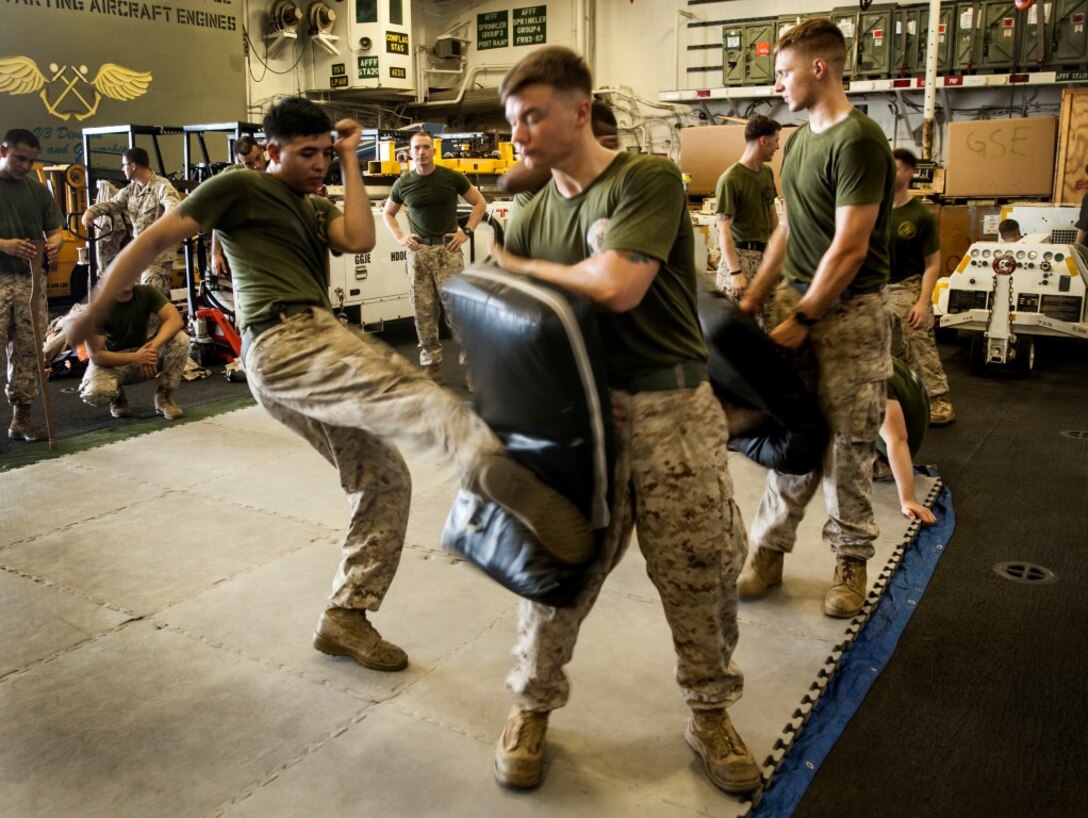 Marine Corps Martial Arts: Take downs, kicks and punches