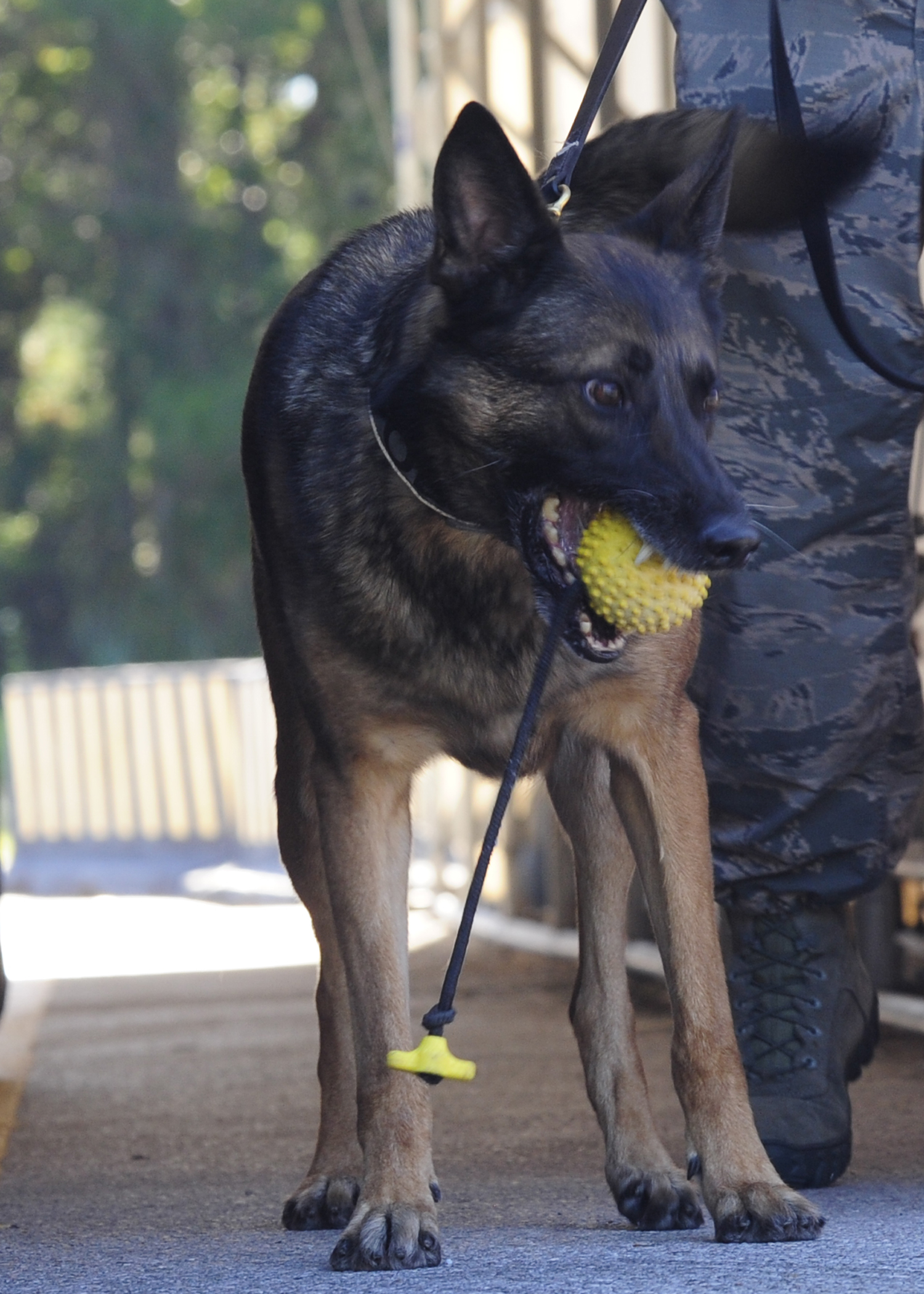 MWD performs training