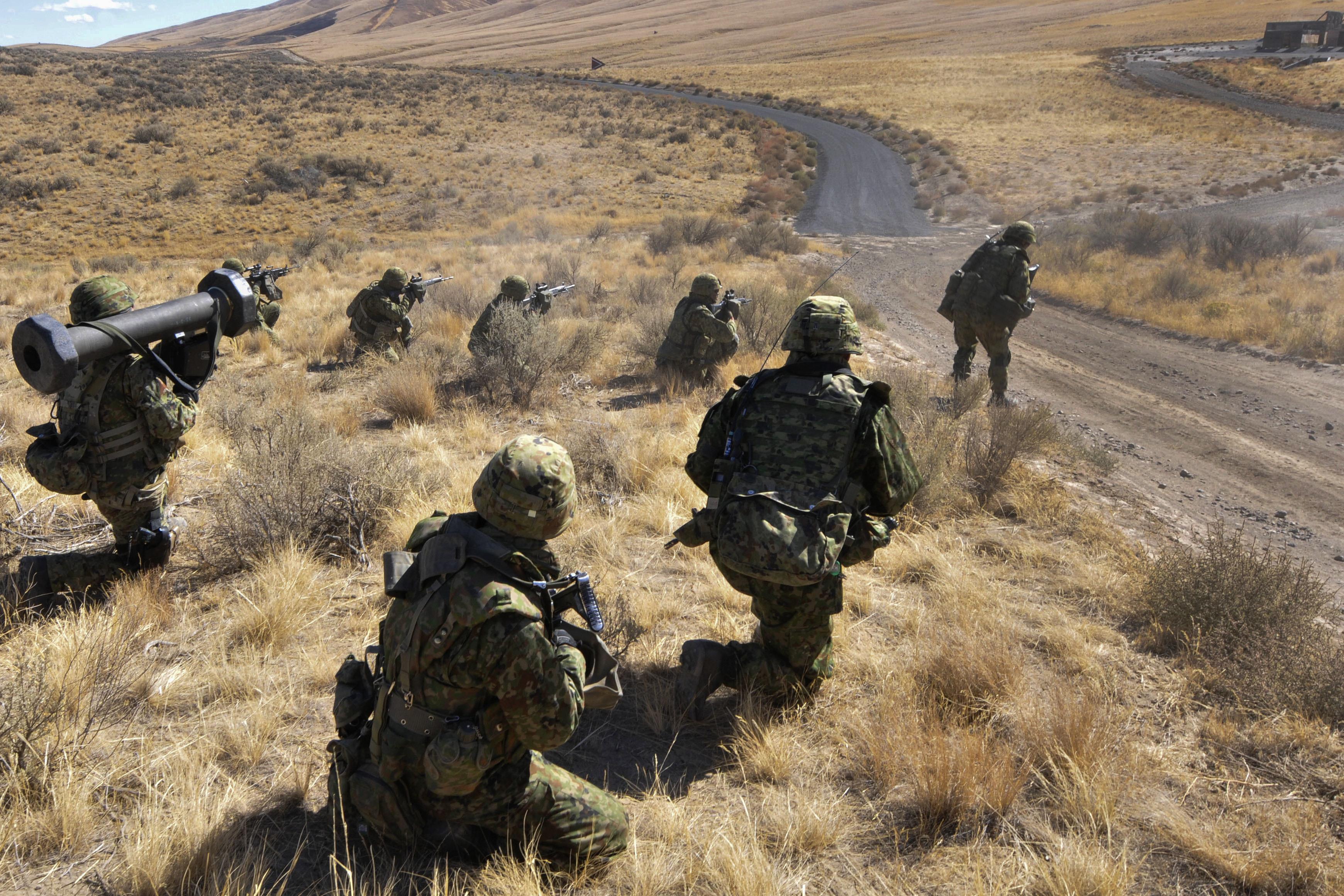 Assault Team