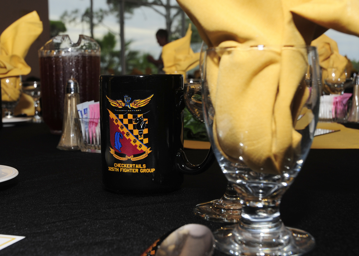 Checkertail Final Reunion > Tyndall Air Force Base > Article Display