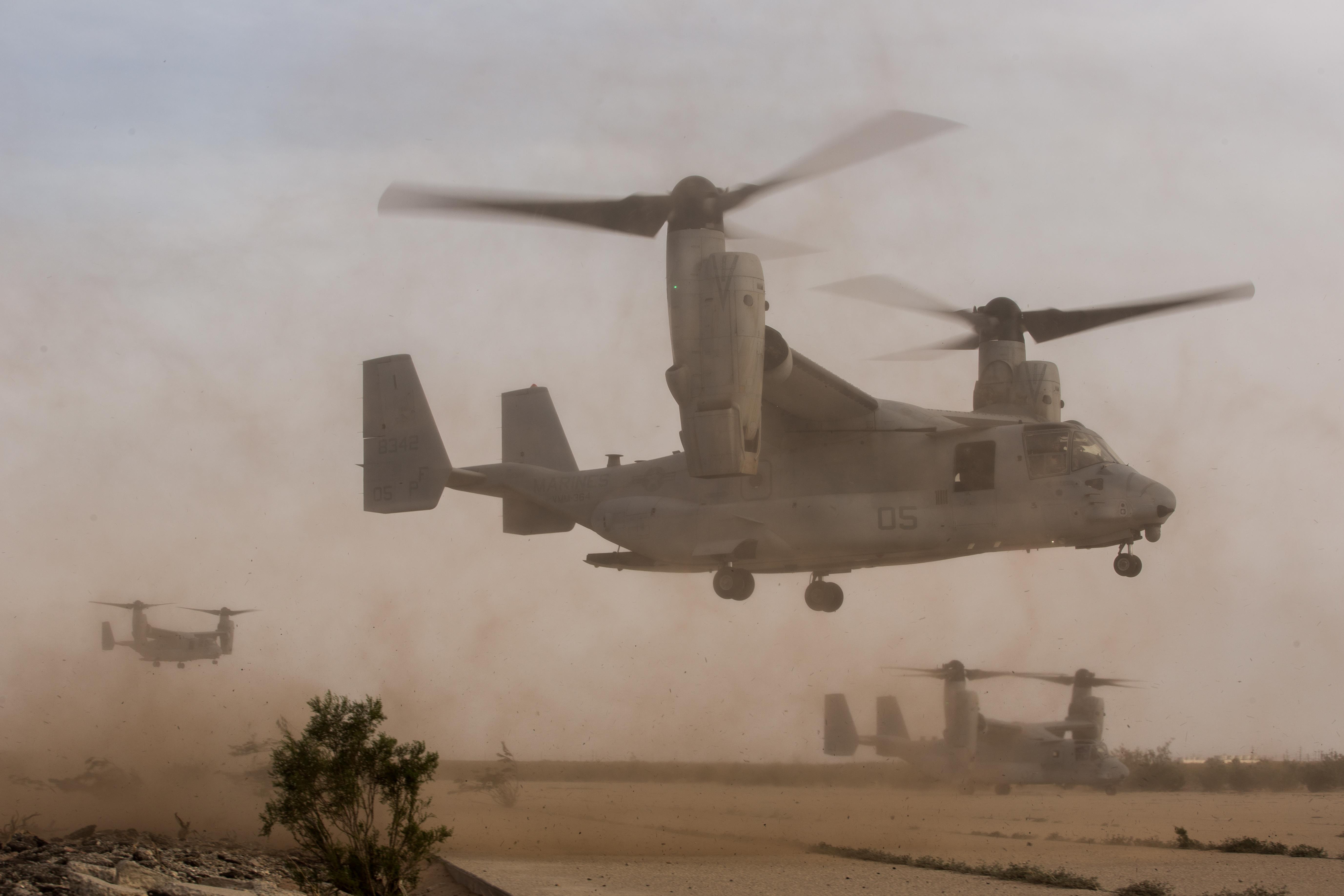 VMM-364 “Purple Foxes,” VMM-165 “White Knights” take to the skies ...