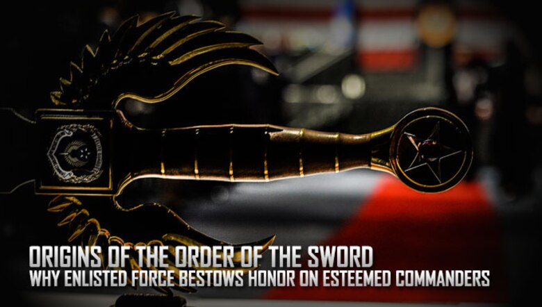 The Order of the Sword > Cannon Air Force Base > Article Display