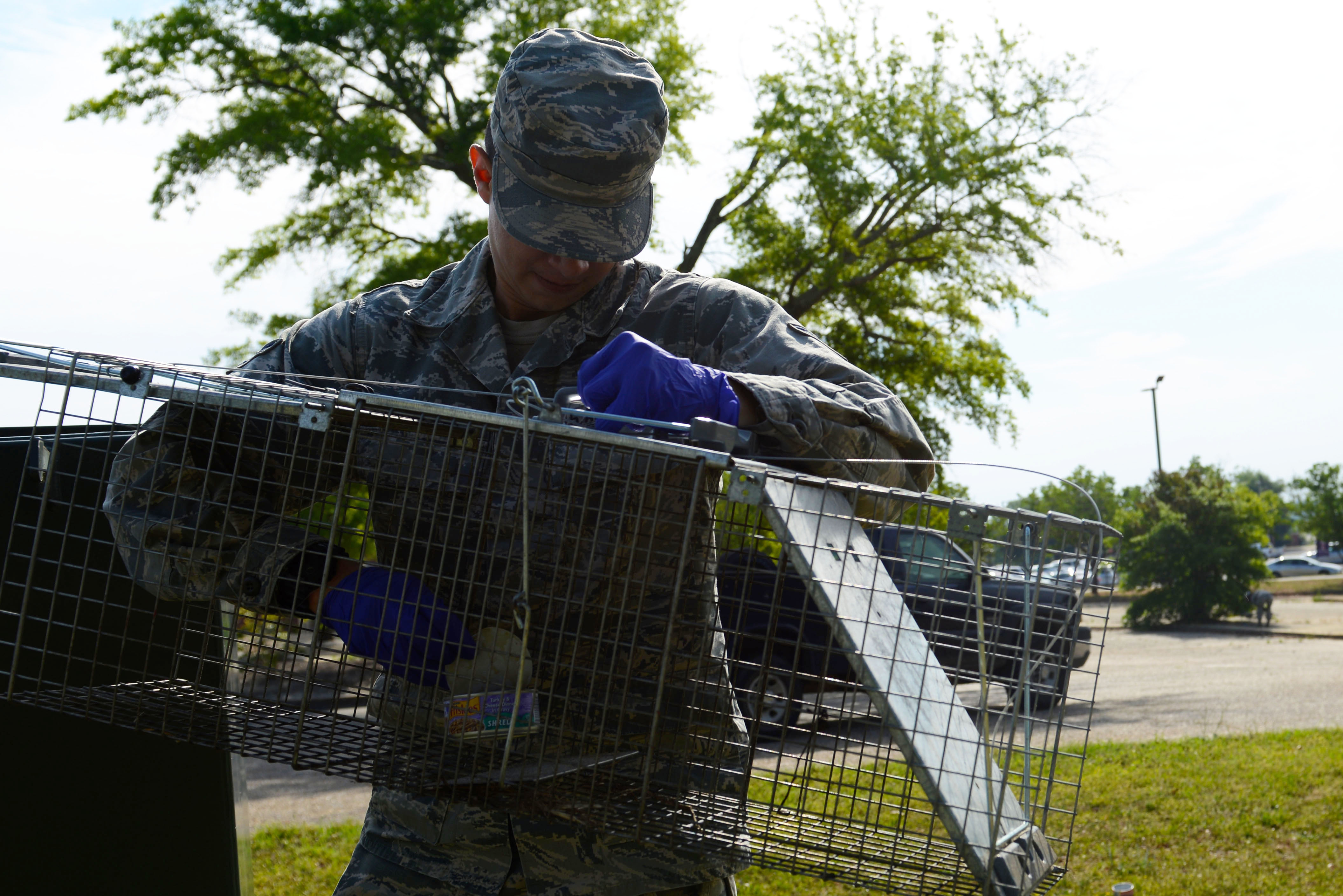 Pest management: protecting personnel from pests