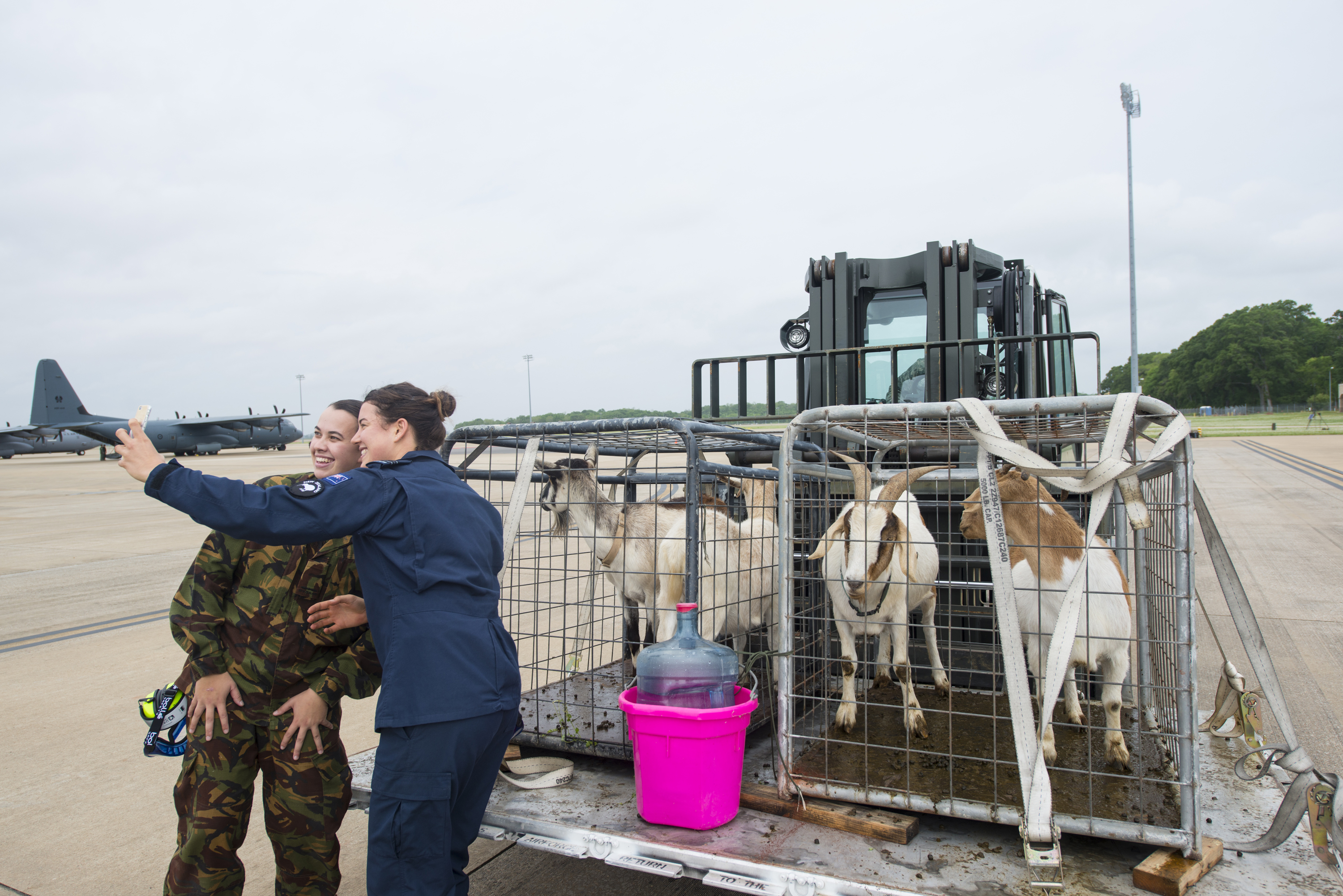 Kiwis fly with CRW > Joint Base McGuire-Dix-Lakehurst > News