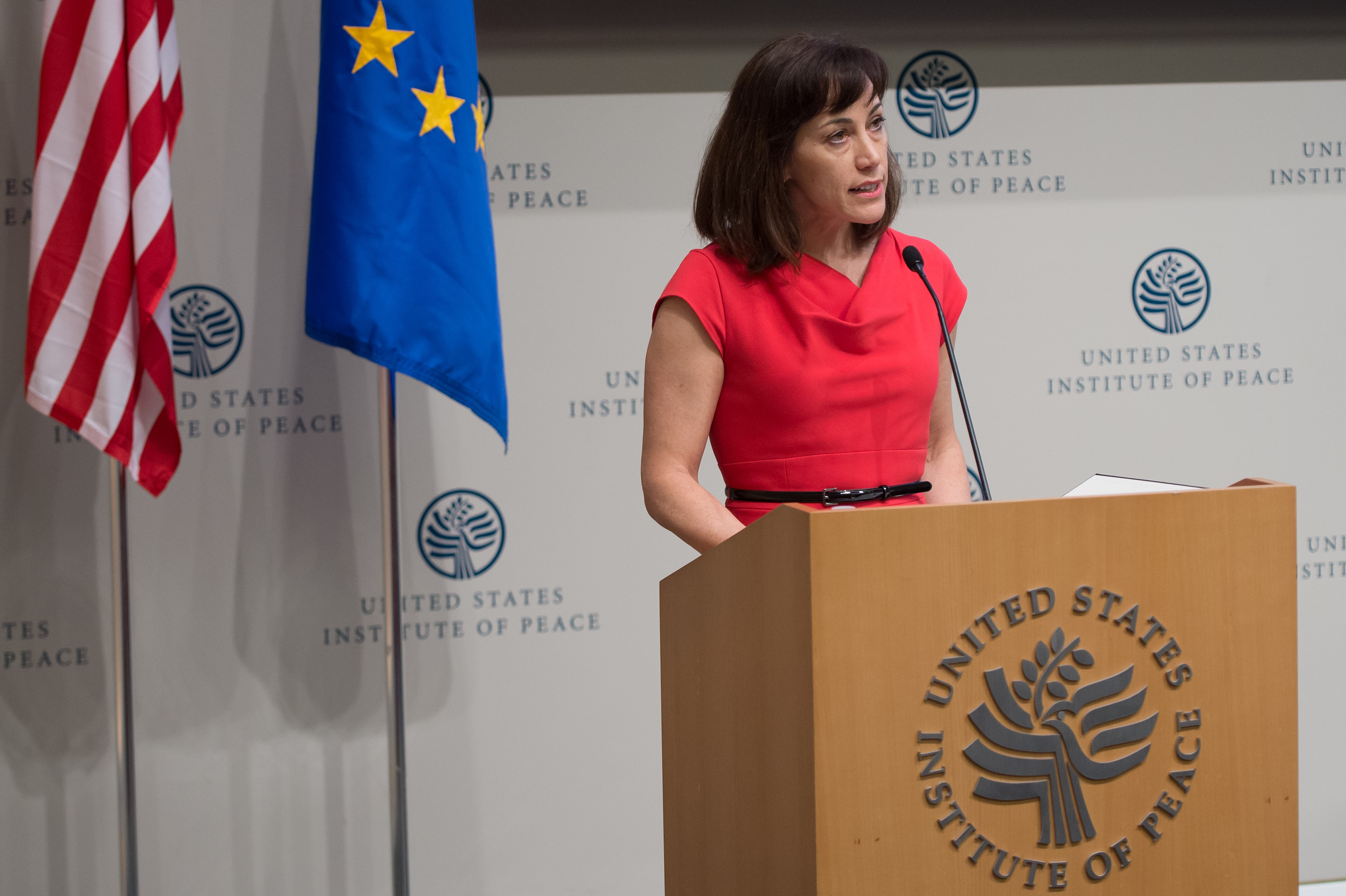 Under Secretary of the Navy