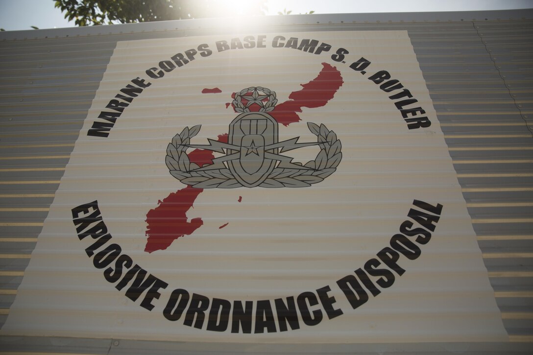 Explosive Ordnance Disposal technicians, reconnaissance Marines ...