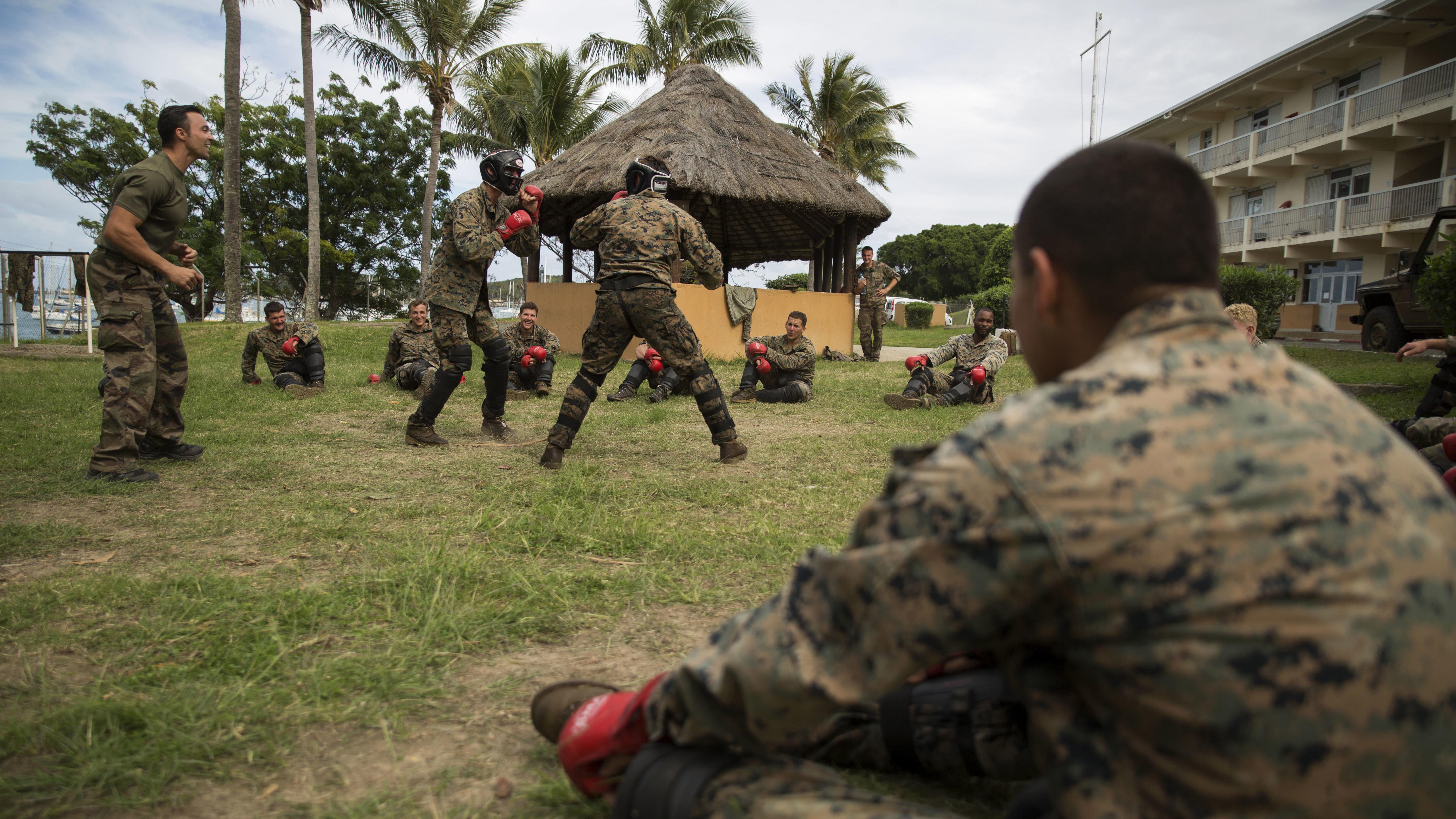 U.S. Marines dive into French commando course > United States Marine ...