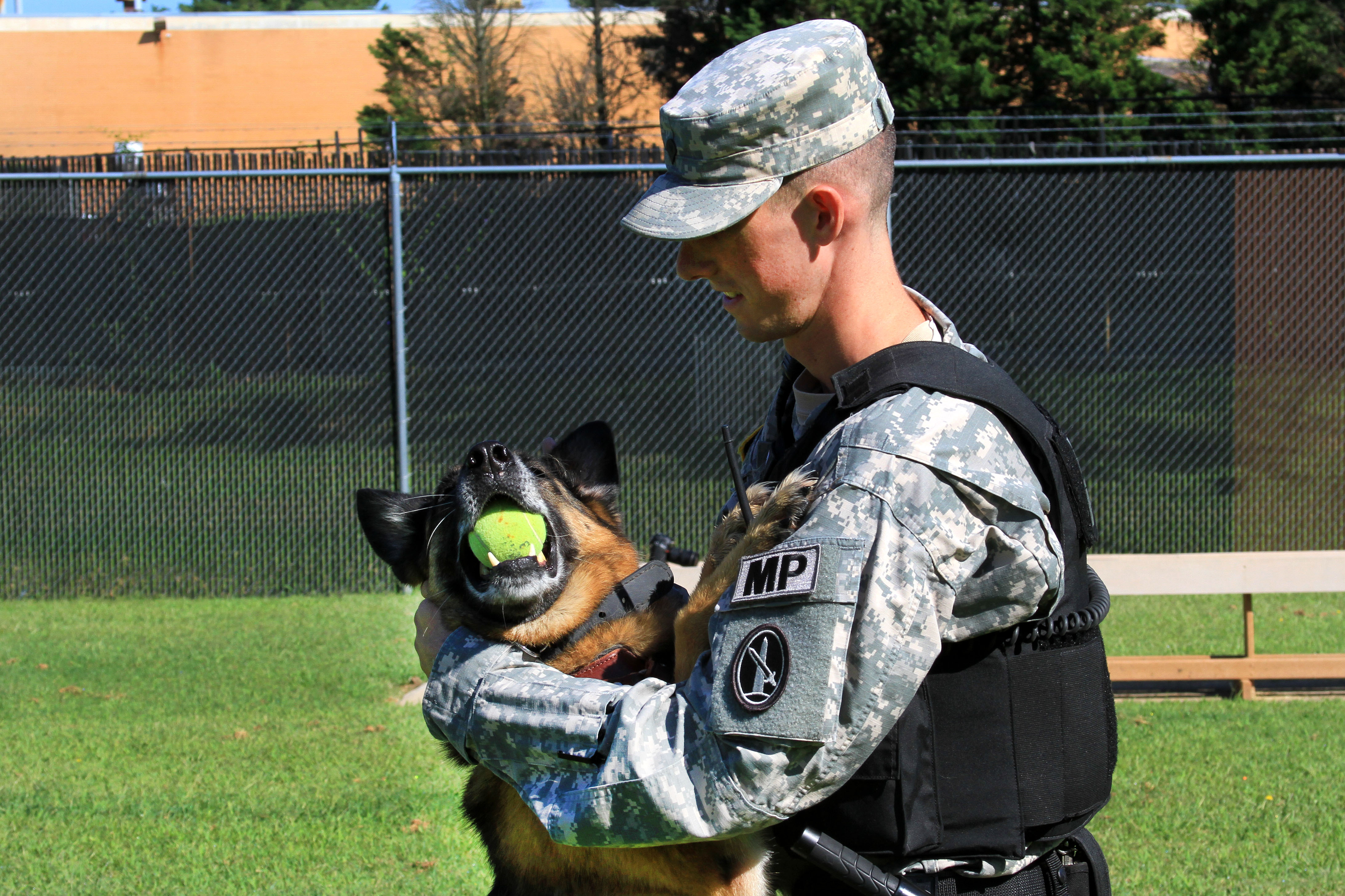 Working Dog Playtime | U.S. Department of War
