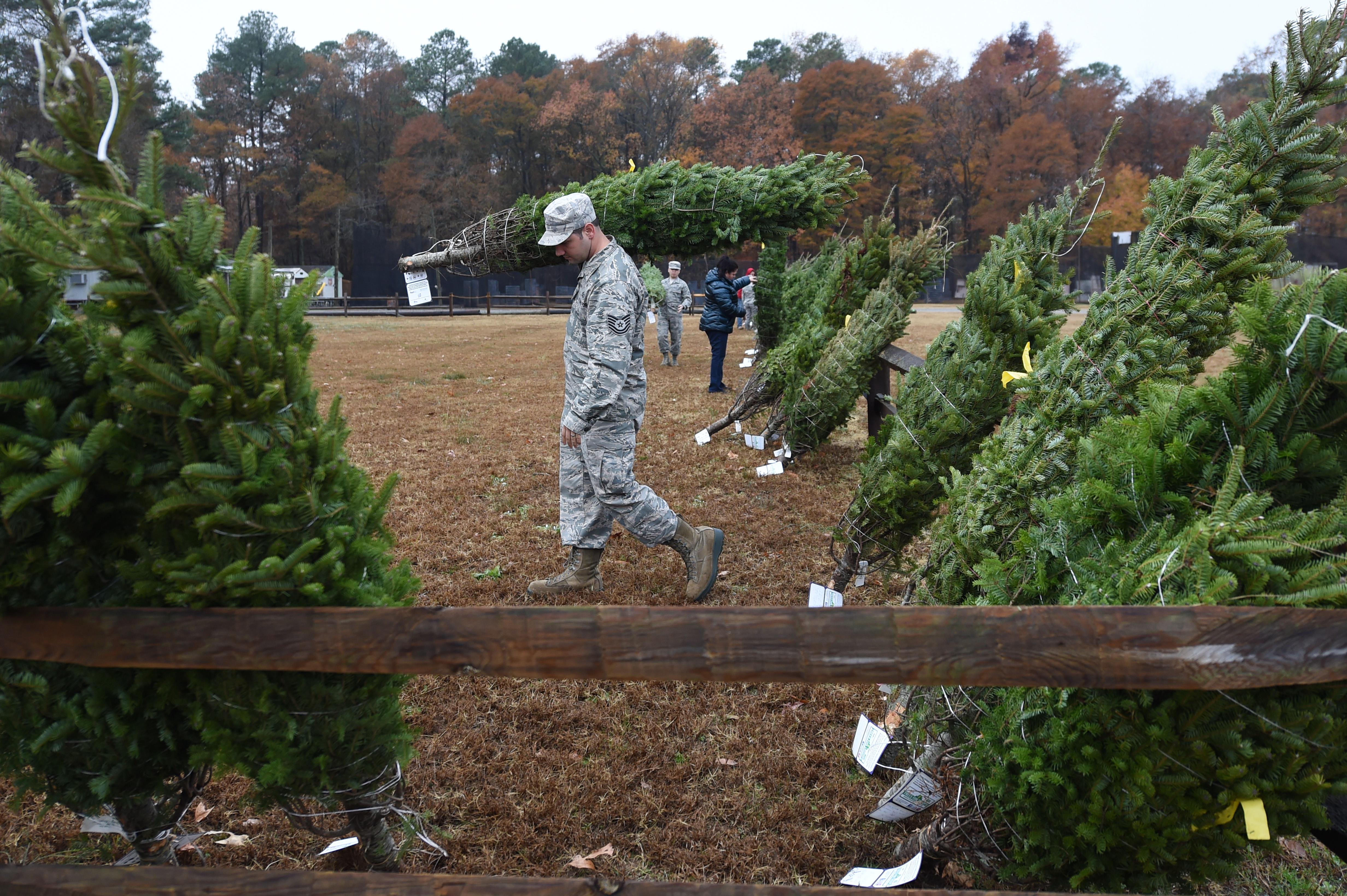 Trees for Troops: The SPIRIT of giving
