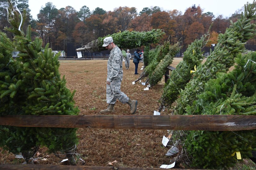 Trees for Troops: the SPIRIT of giving > Joint Base Langley-Eustis ...