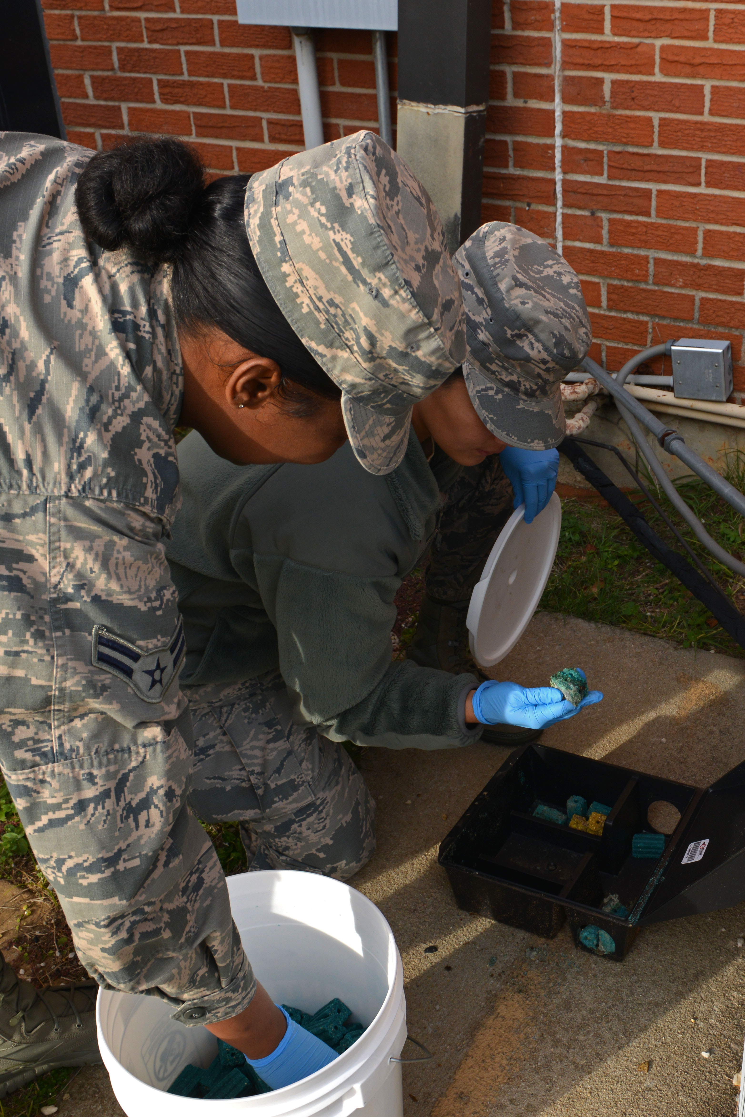 Keeping Shaw pest-free