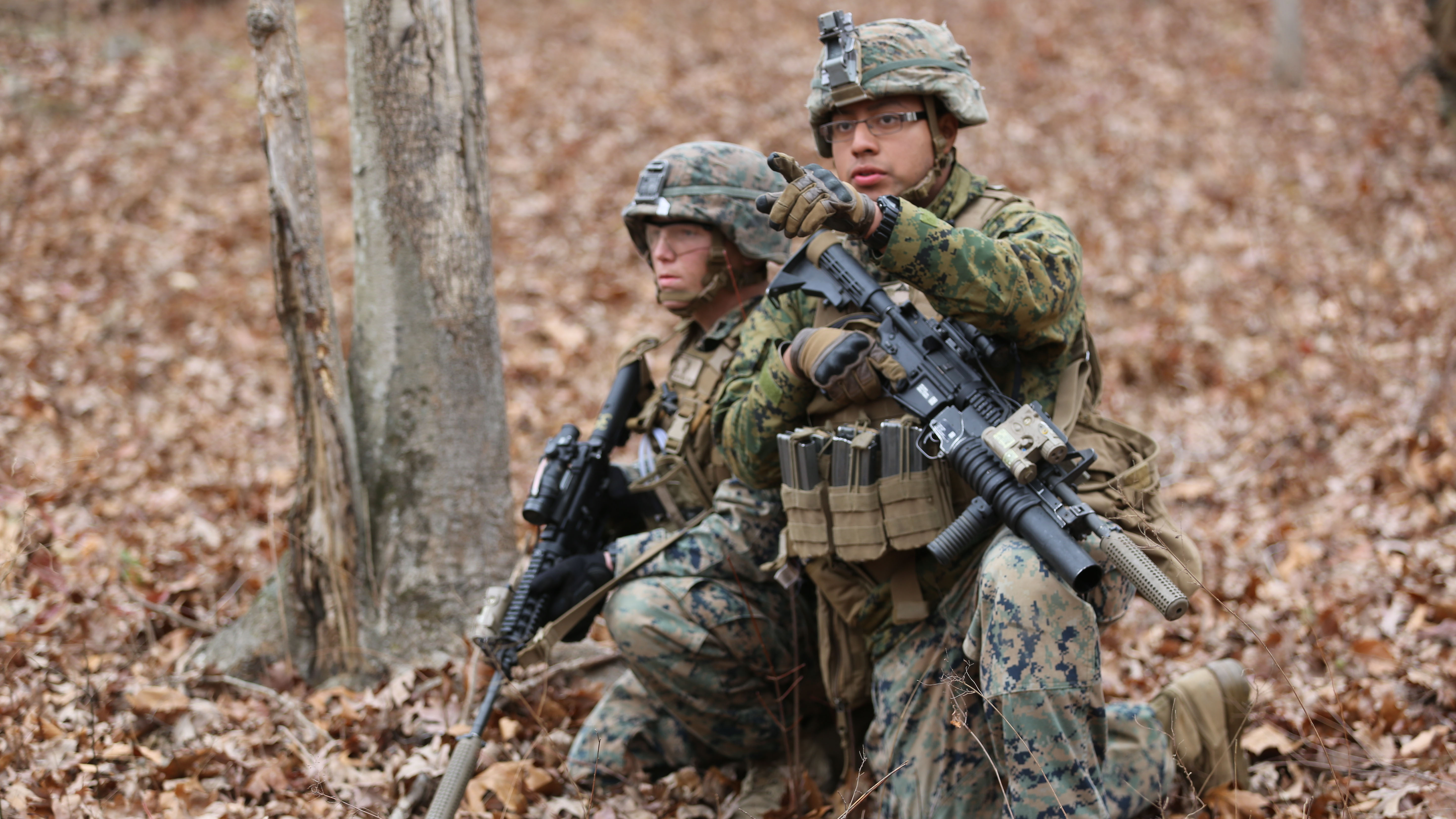 Savage company prowls