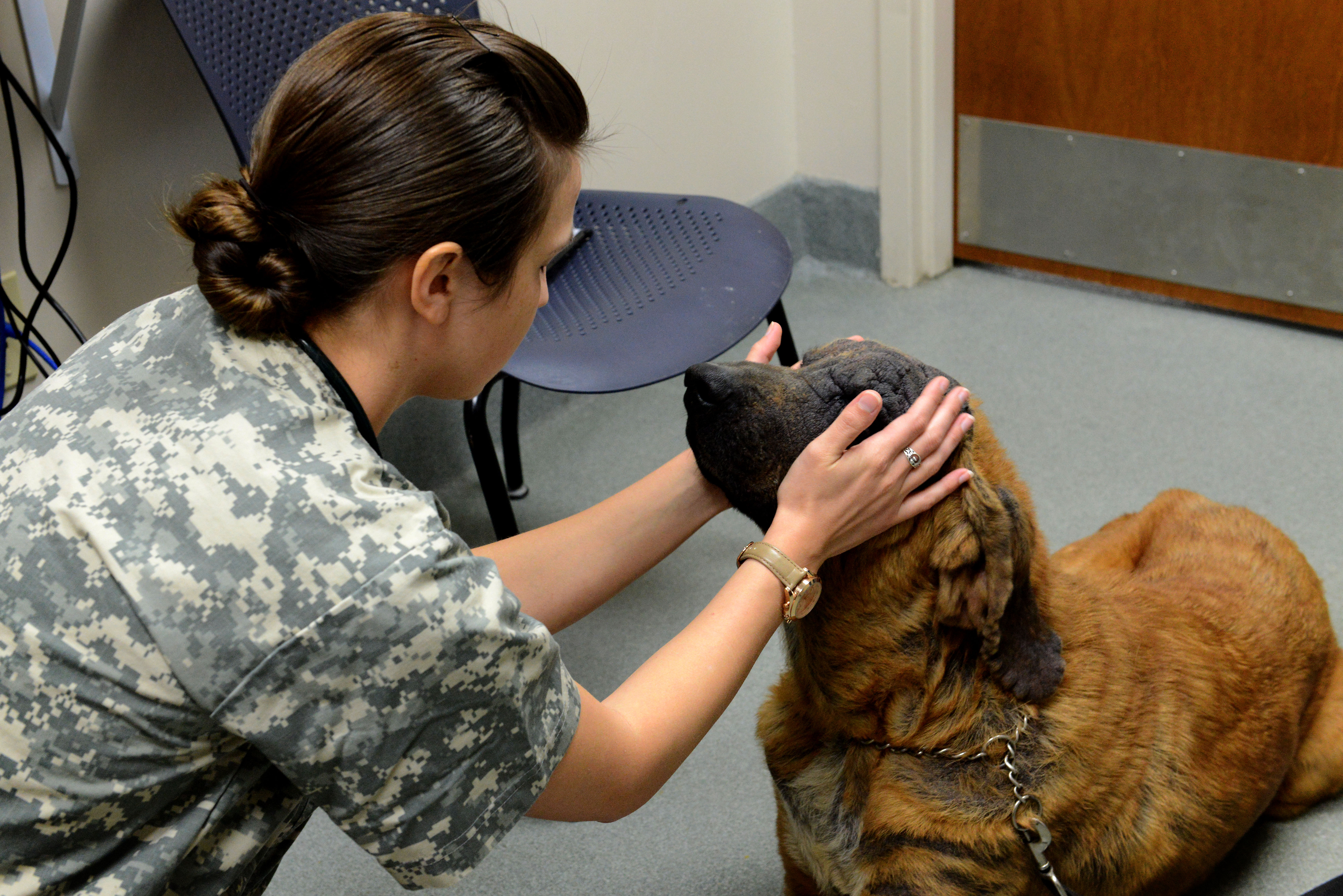 VTF takes care of animal companions > Shaw Air Force Base > Article Display