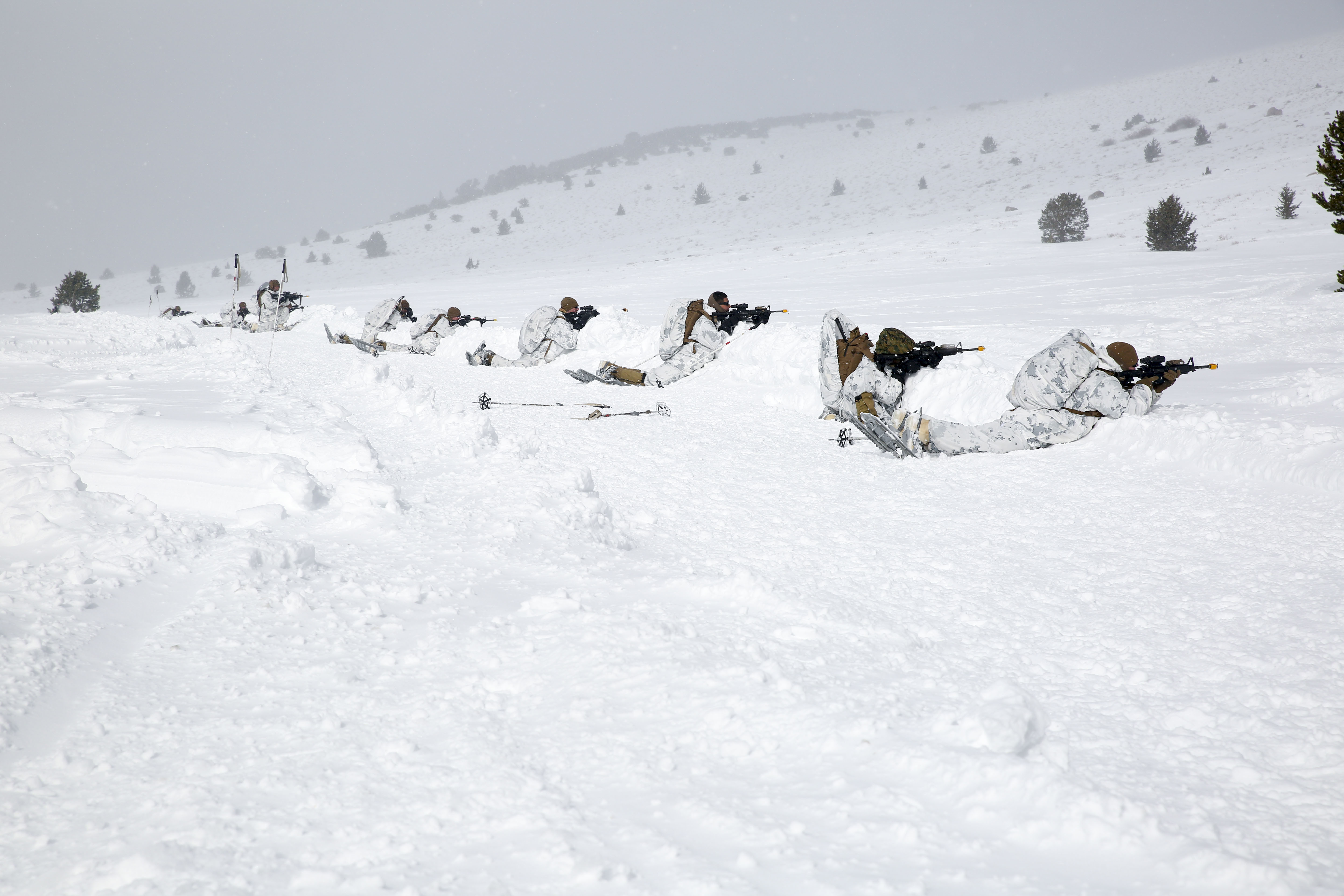 Tackling the Mountain: Marines across II MEF brace themselves for Cold ...