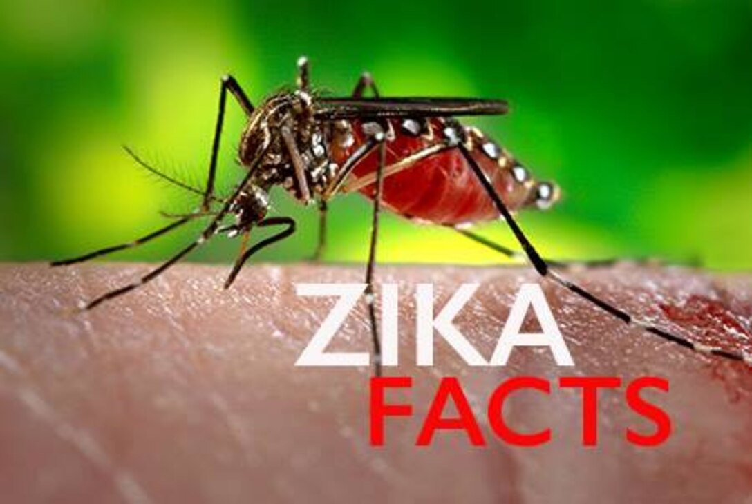 Zika Facts