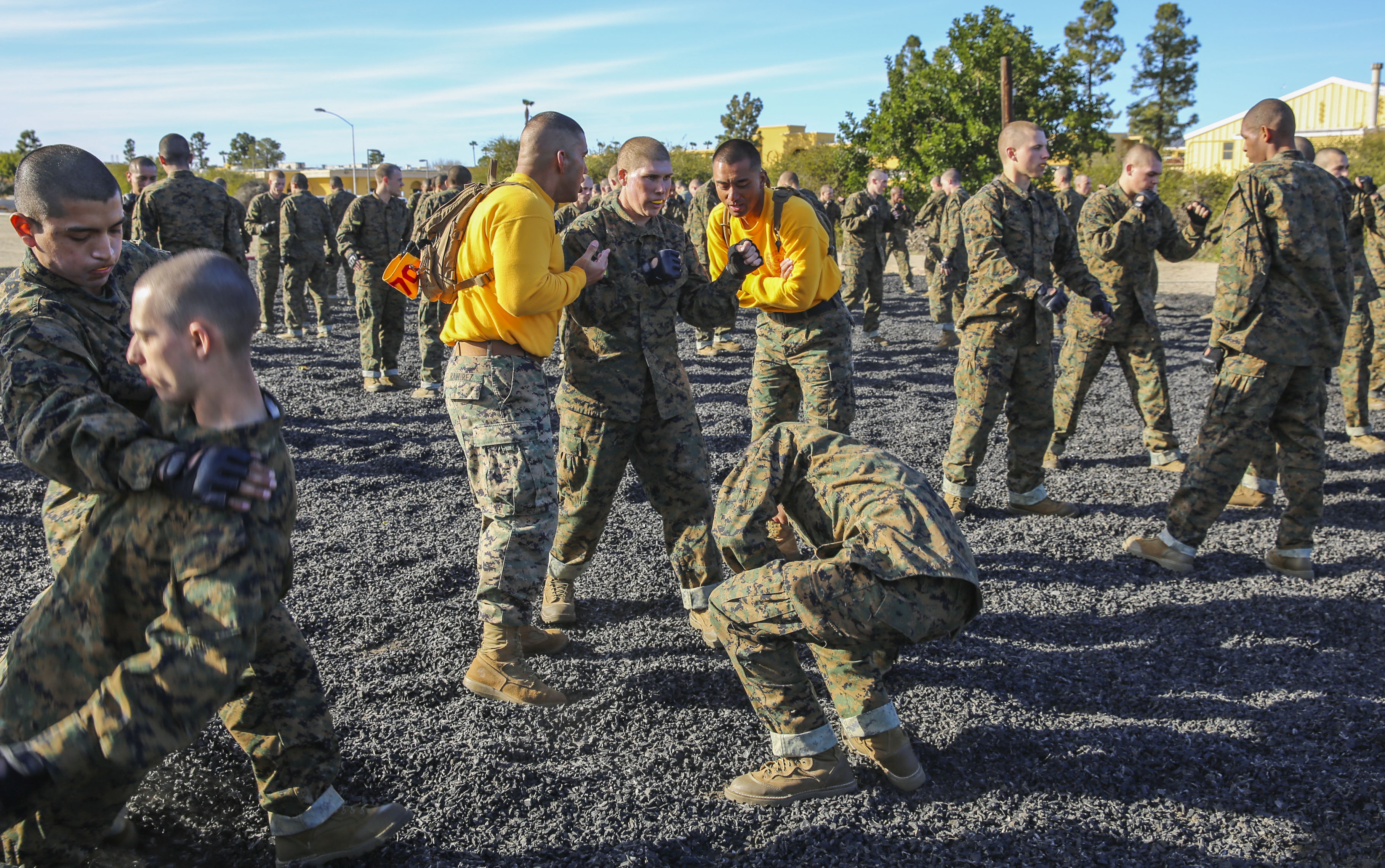 Co. H - MCMAP Falls and Leg Sweeps