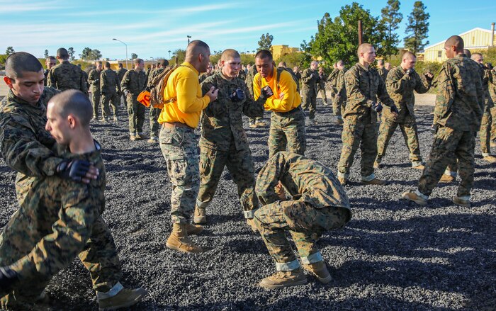Co. H - MCMAP Falls and Leg Sweeps