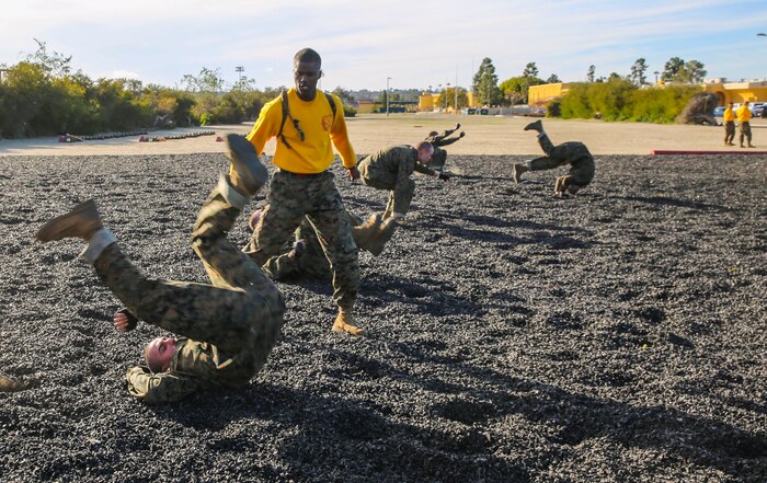 Co. H - MCMAP Falls and Leg Sweeps