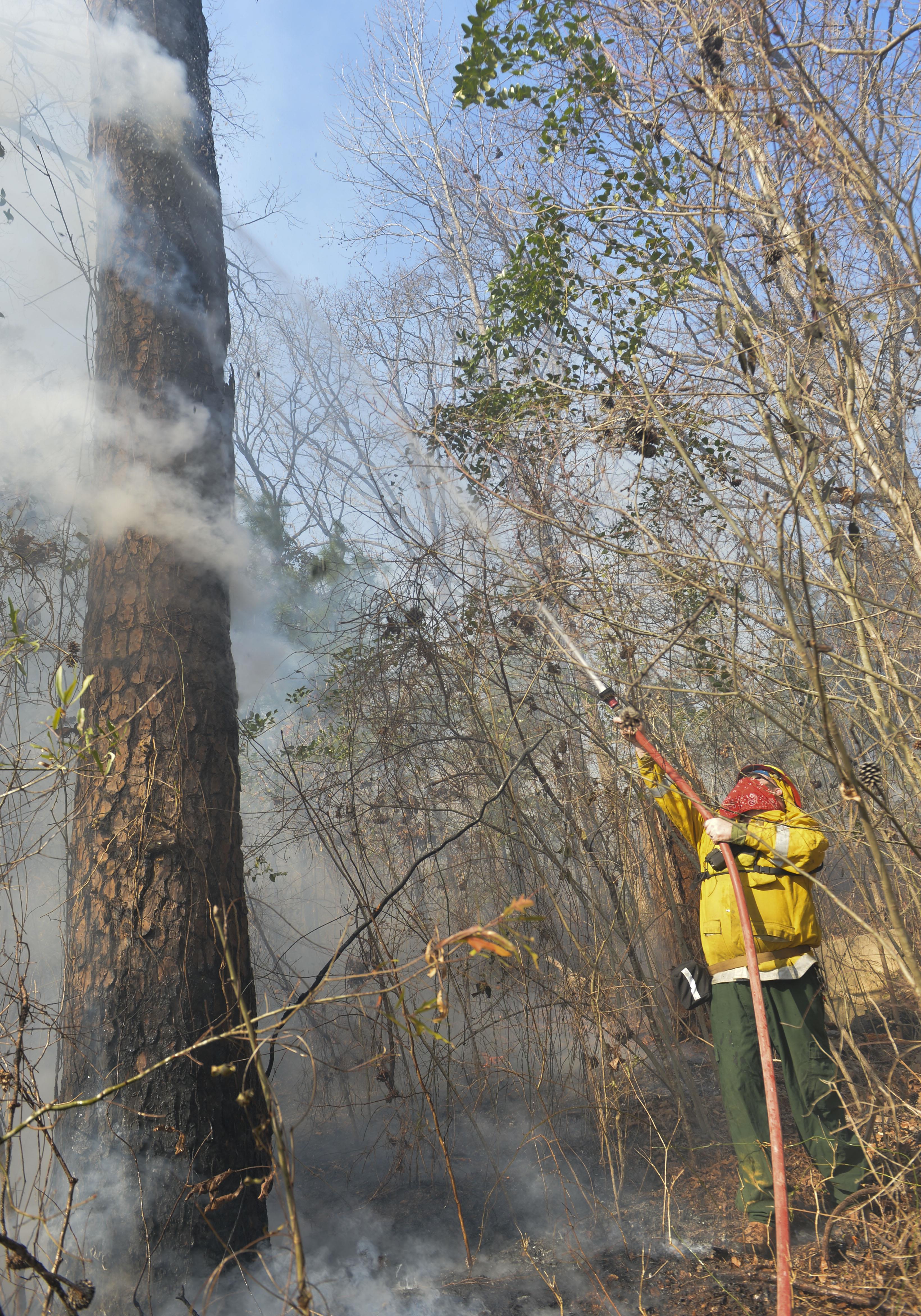 Fueling the Fire: Controlled burn strengthens local eco system ...