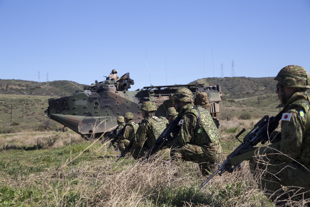Exercise Iron Fist 2016: 3rd AABN and JGSDF Practice Fire and Maneuver