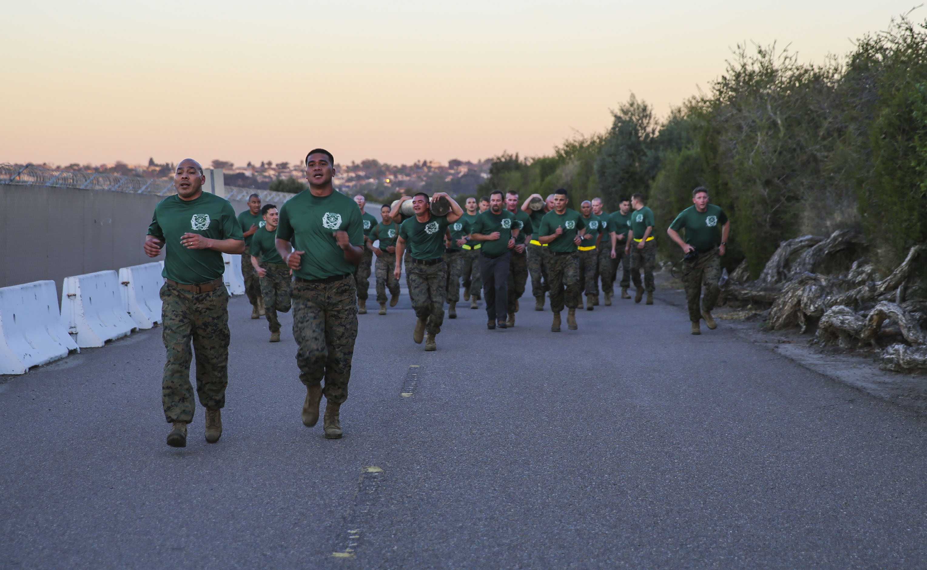 Annual Log Run Competition