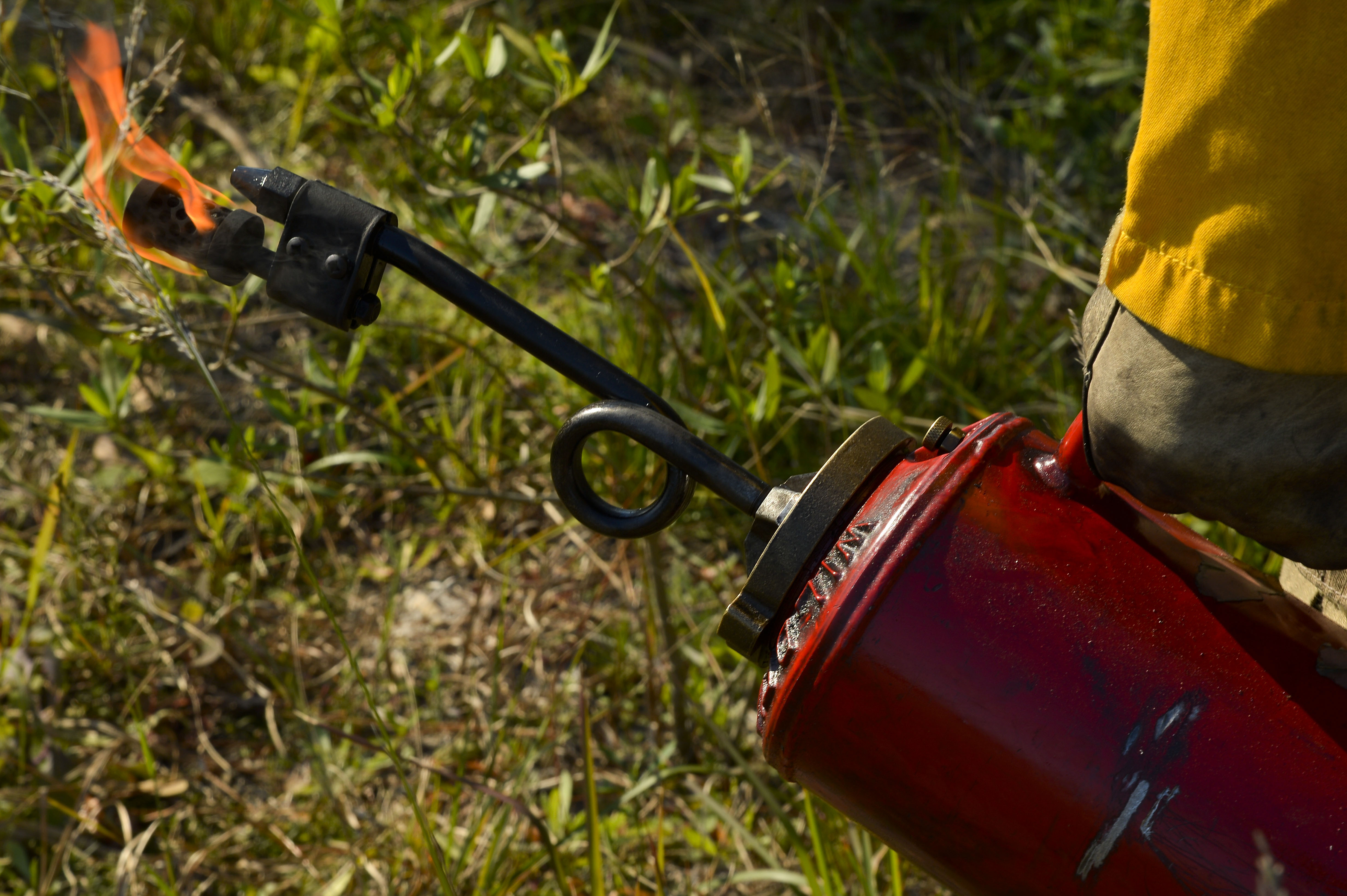 Fighting fire with fire