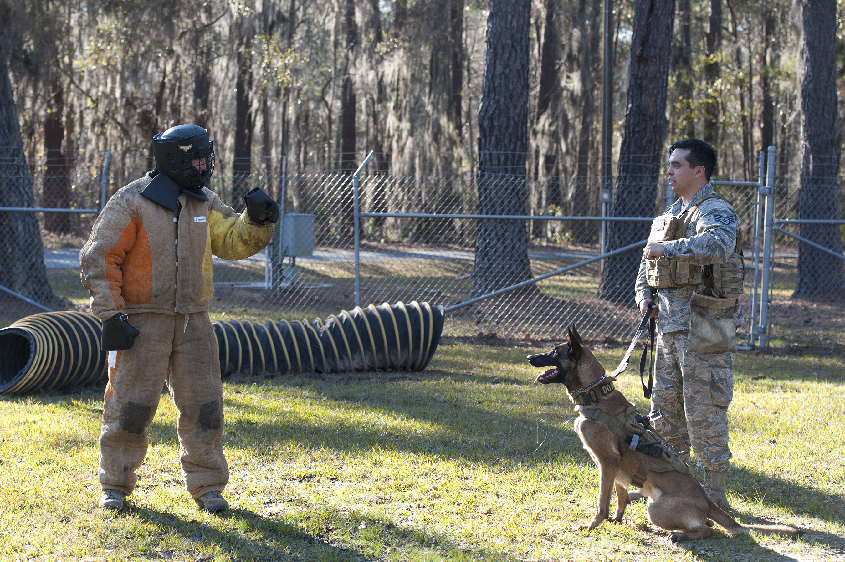 23d SFS showcases MWD capabilities > Moody Air Force Base > Article Display