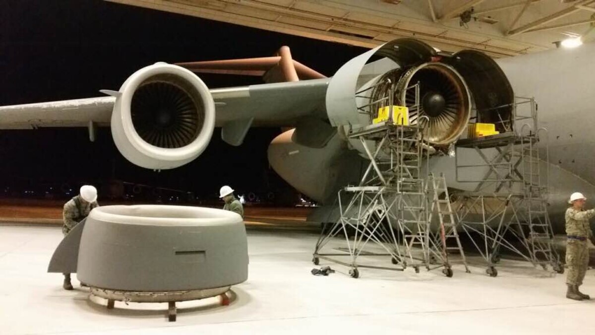 Bird strikes Dover aircraft > Air Force Reserve Command > News Article