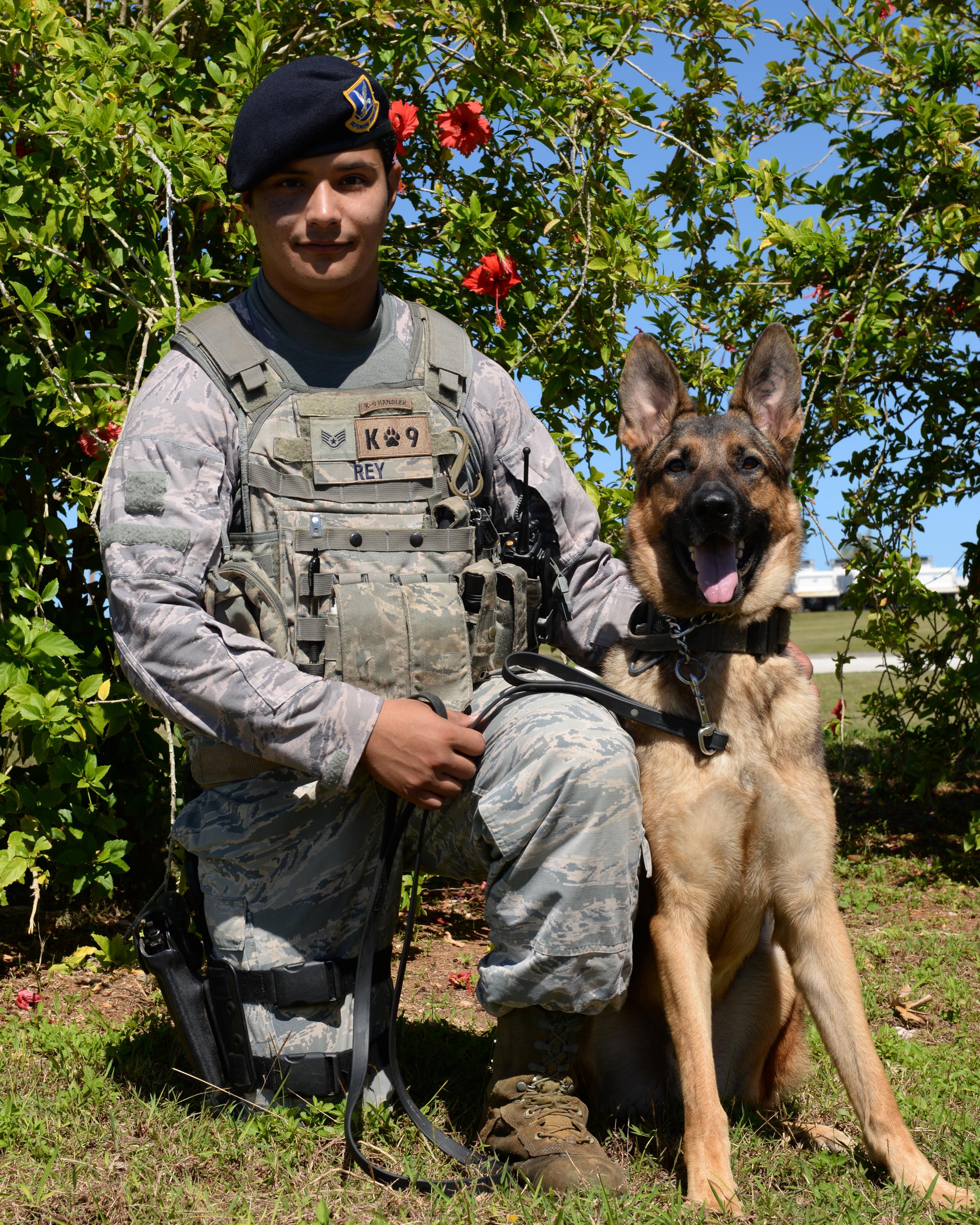 Andersen SFS K-9 unit, EOD flight join with local first responders in ...