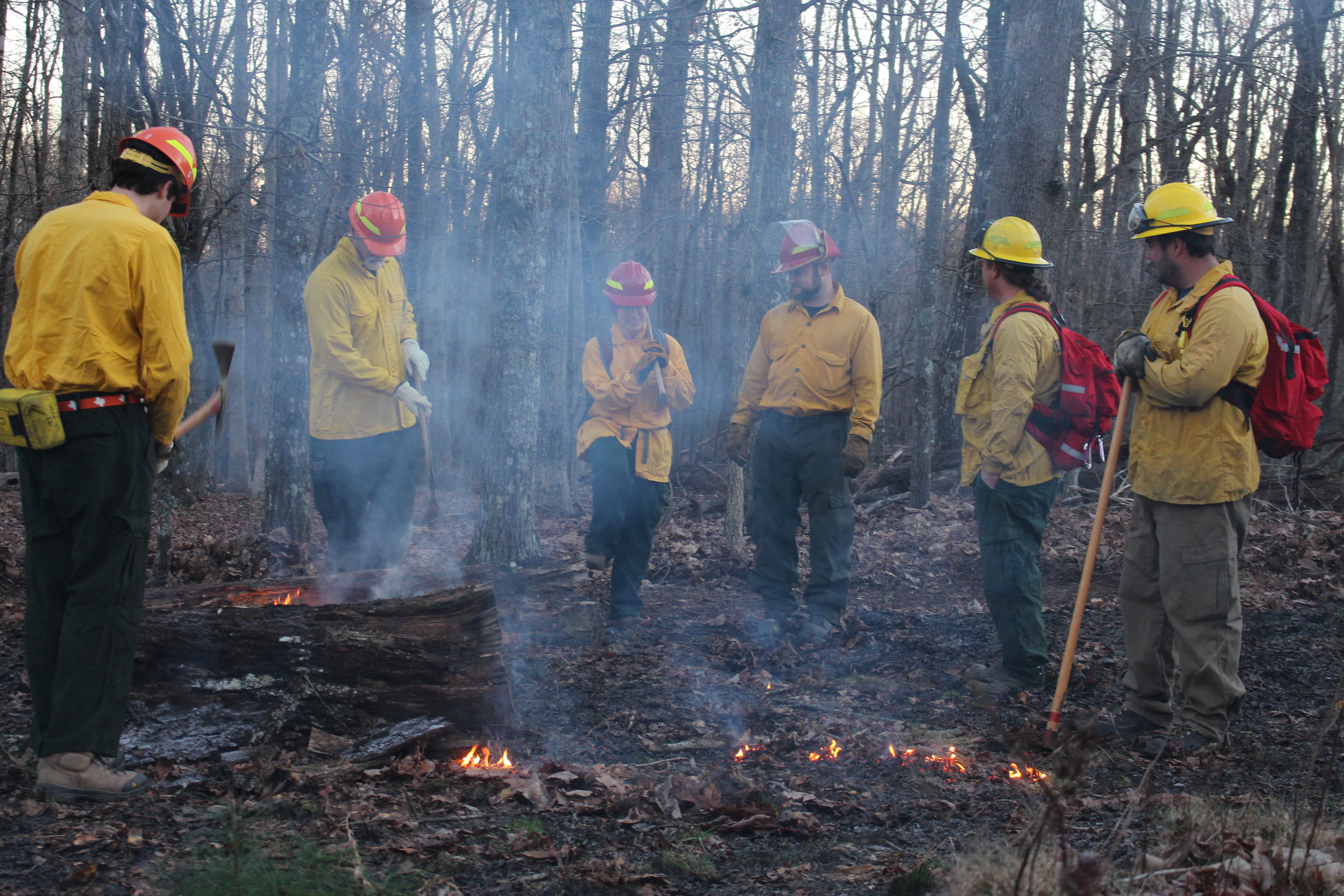 AEDC Natural Resource Managers and partnering agency take part in ...