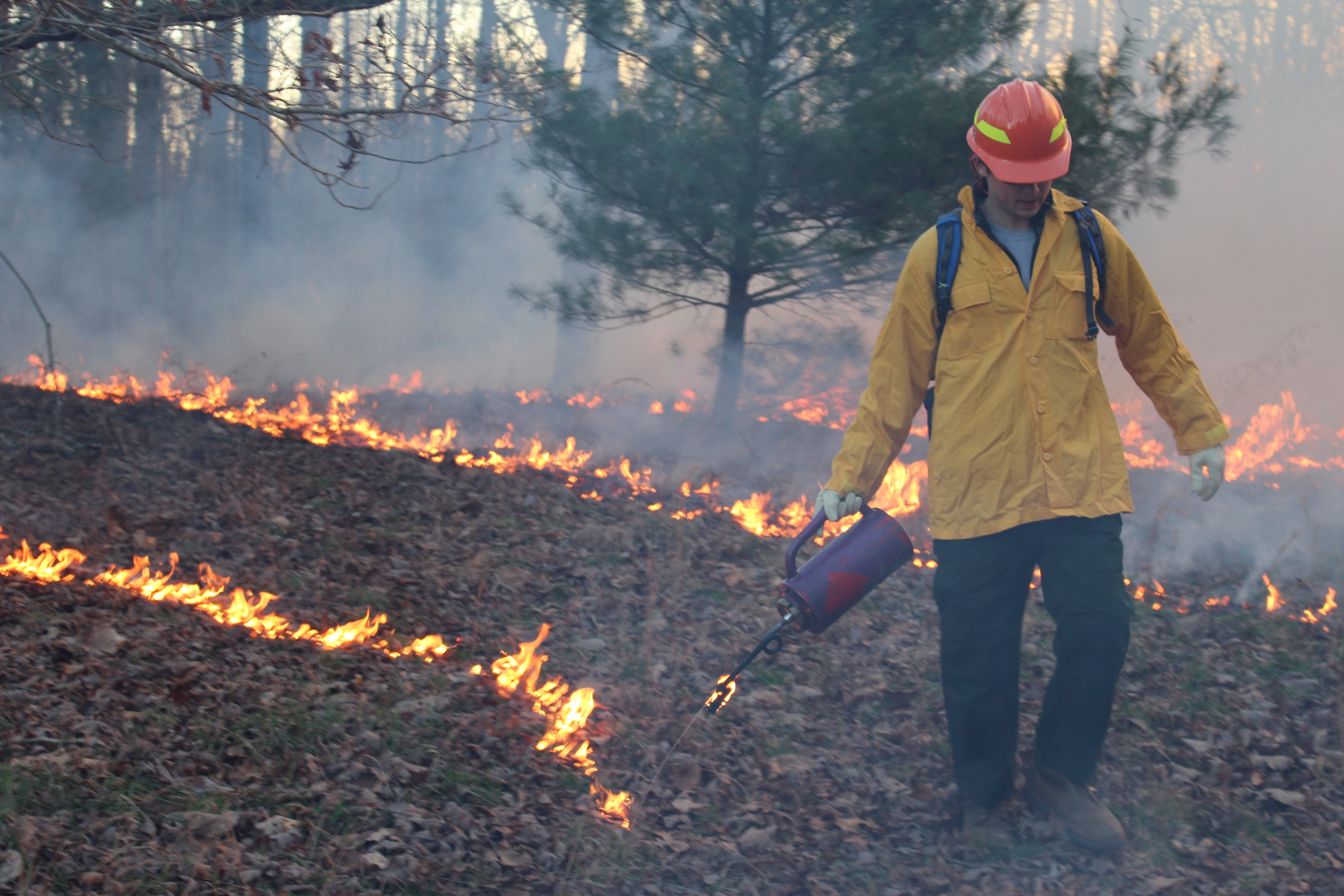 AEDC Natural Resource Managers and partnering agency take part in ...
