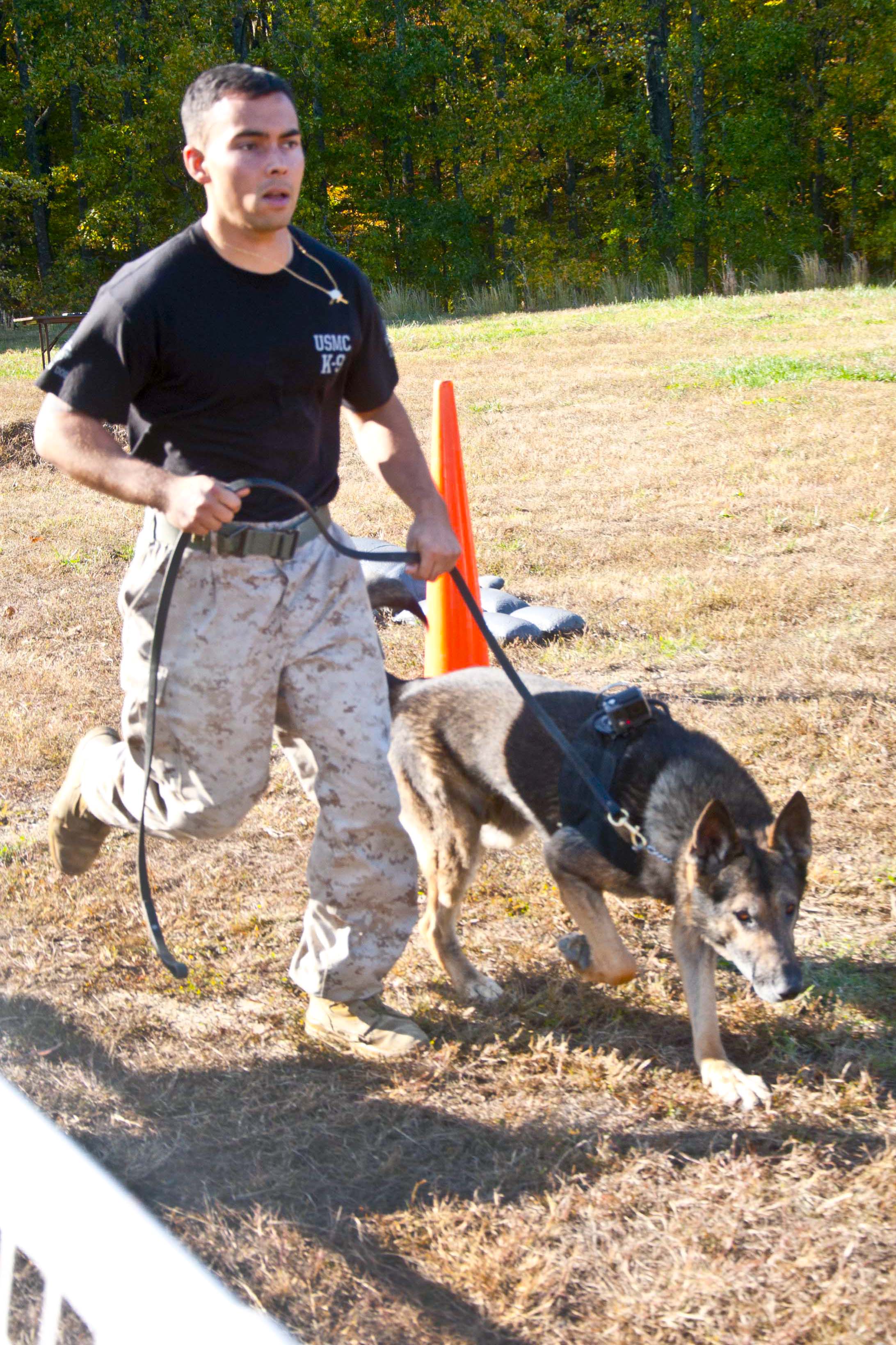 Father-son canine handlers protect and serve > Marine Corps Base ...