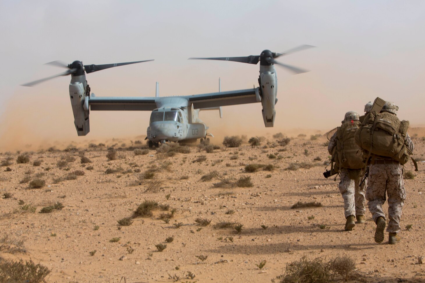 Wasp ARG Completes Exercise African Sea Lion with Morocco > United ...