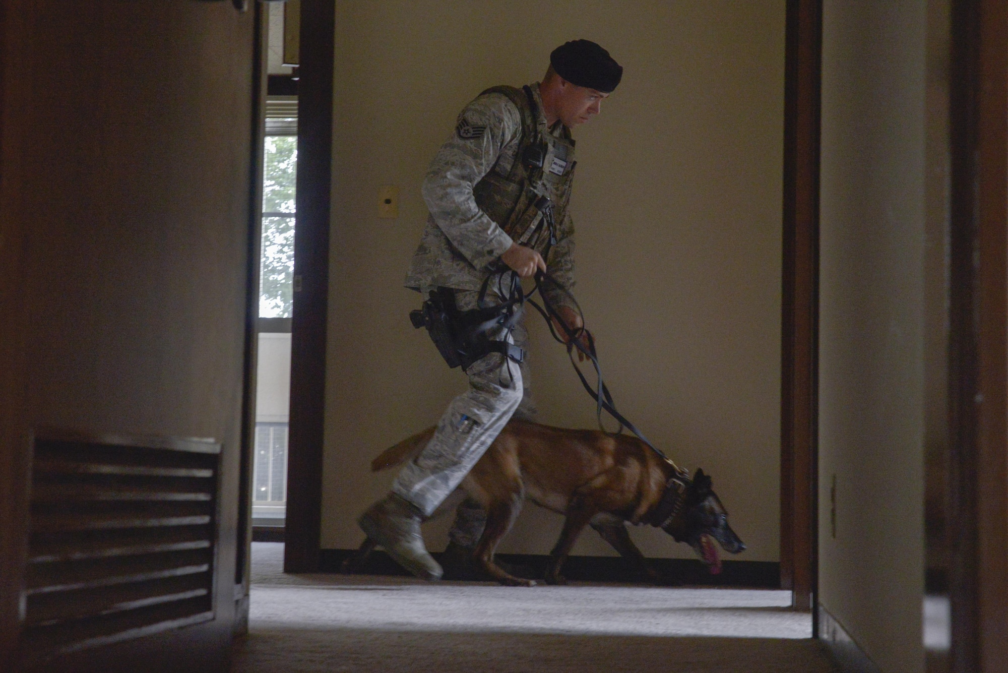 MWDs sniff out suspects in training scenario > Pacific Air Forces ...