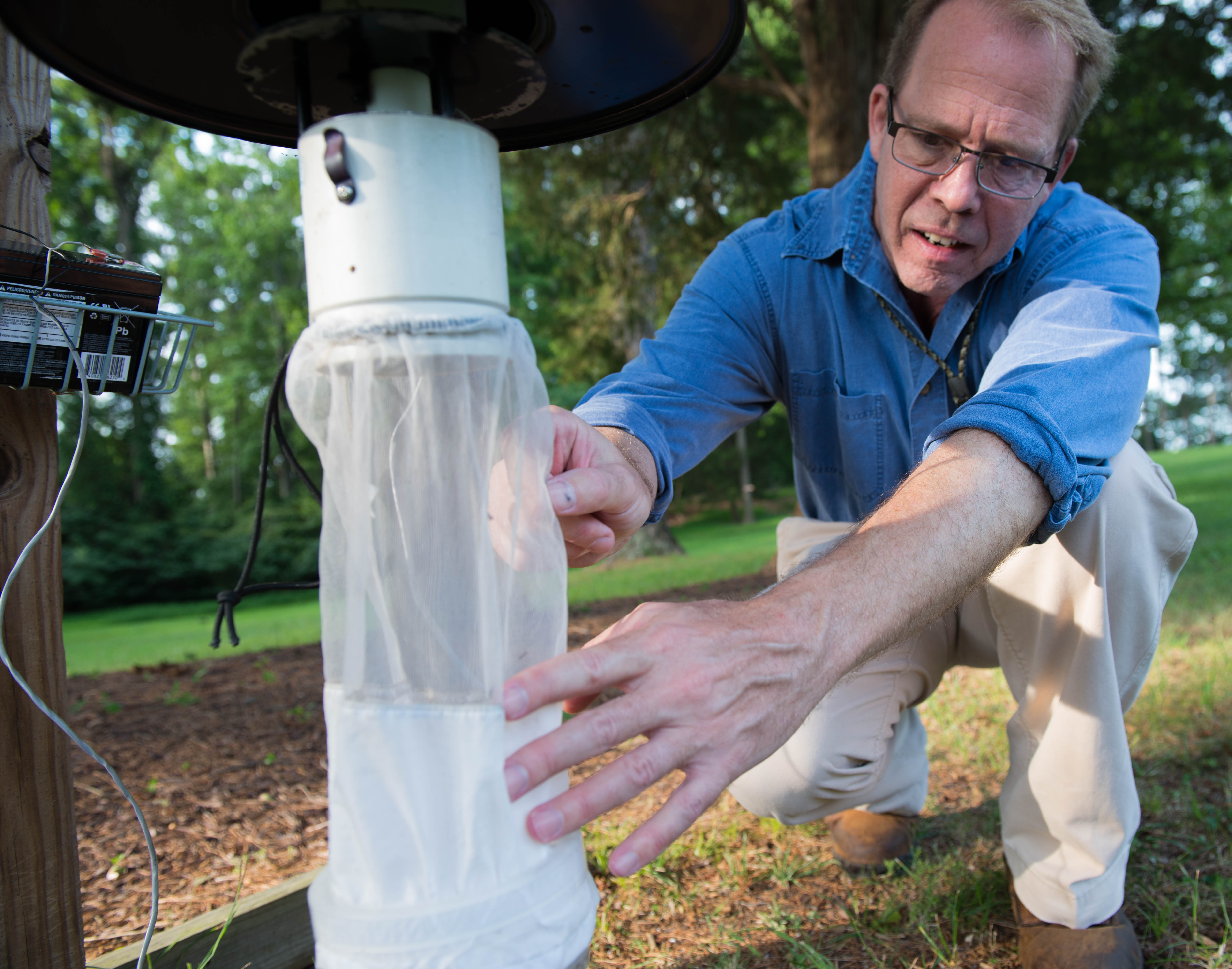 Ft. Eustis CED monitors insect numbers > Joint Base Langley-Eustis ...