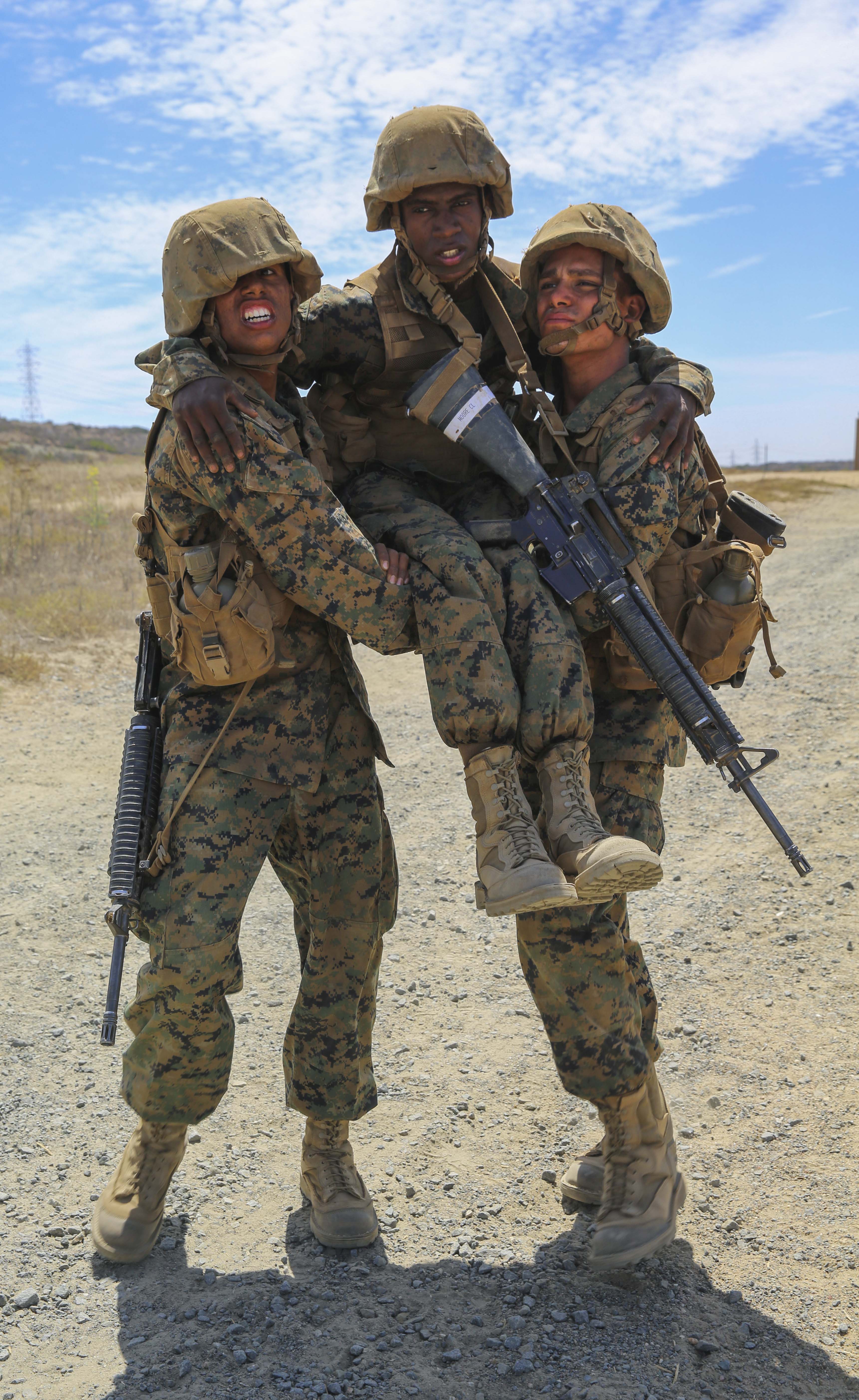 Co. H - Jenkin's Pinnacle