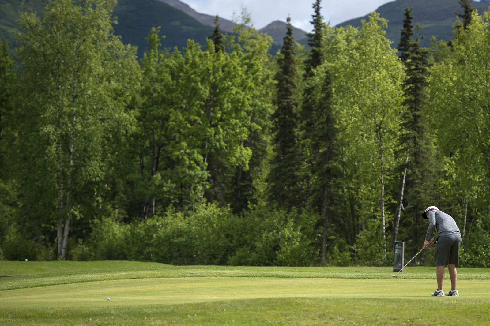 JBER's Moose Run Golf Course offers fun and time to unwind > Joint Base ...