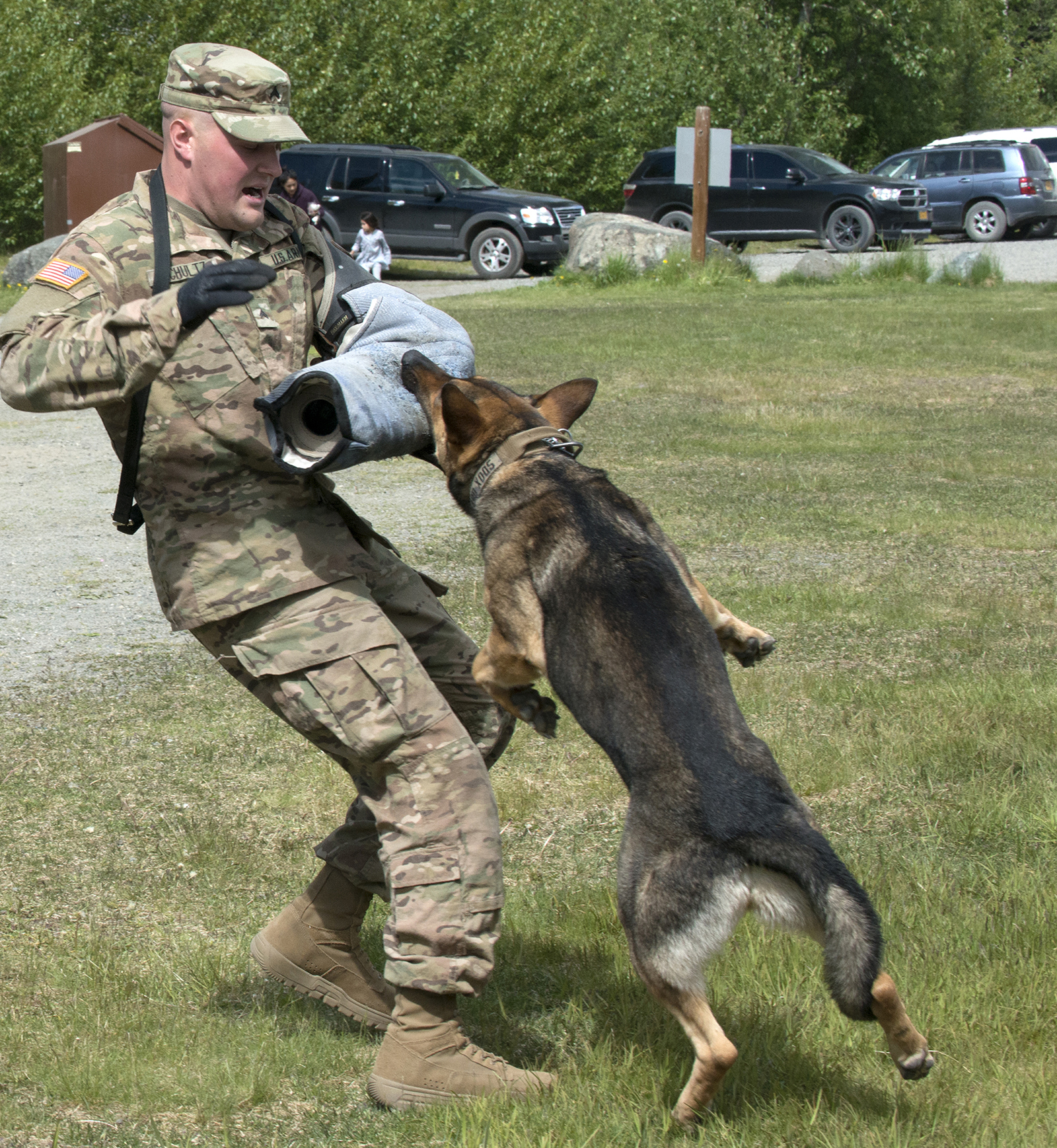 549th Military Working Dog Detachment showcases capabilities > Joint ...
