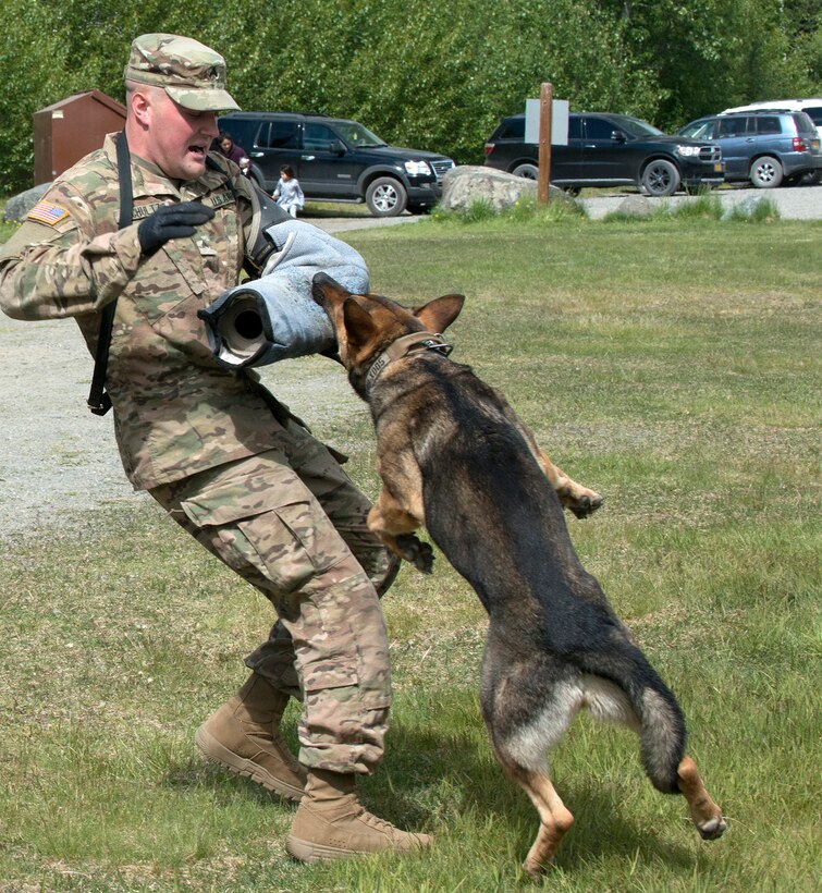 549th Military Working Dog Detachment showcases capabilities