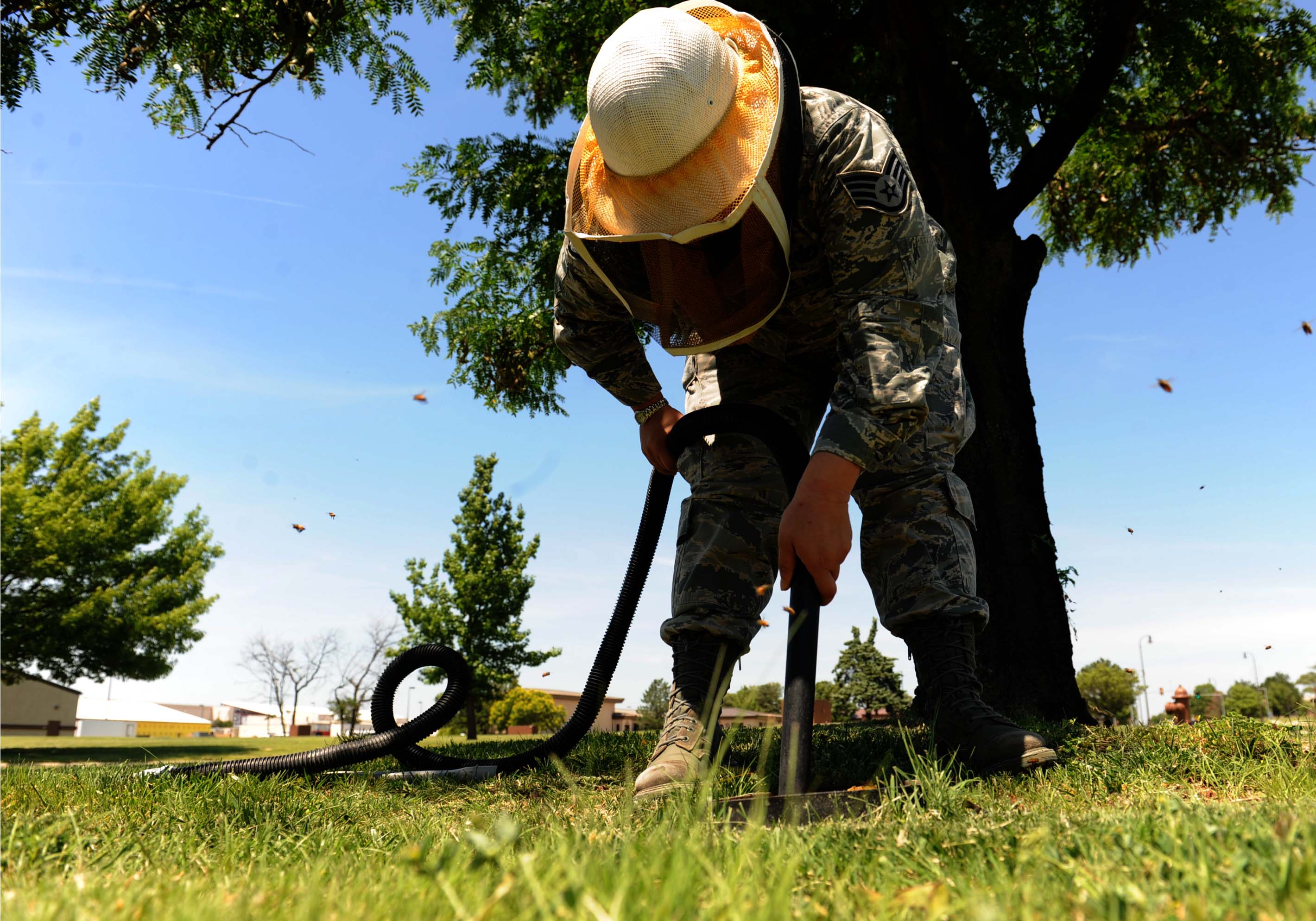 McConnell Airmen relocate bees > Team McChord > Article Display
