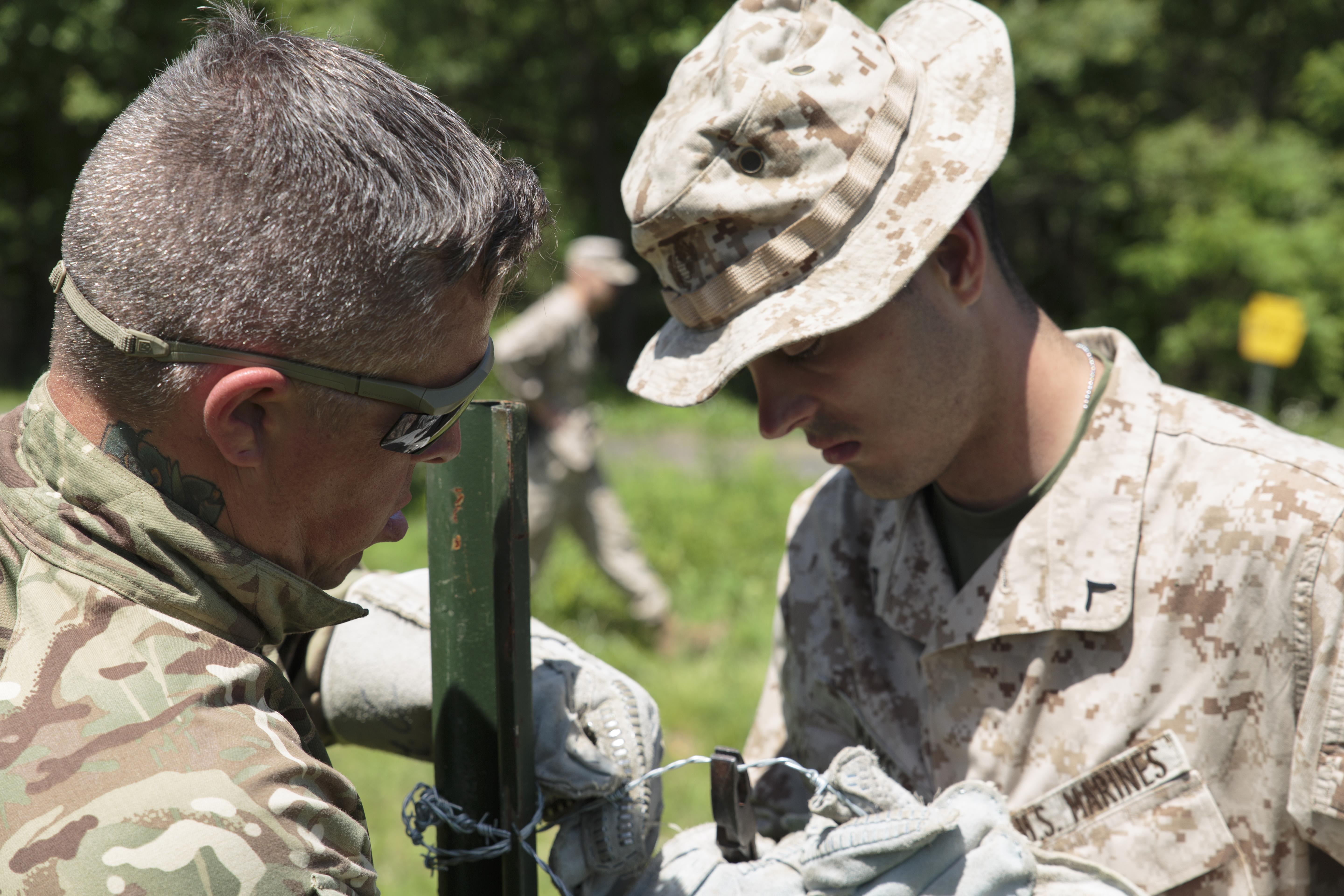 combat engineer royal engineers