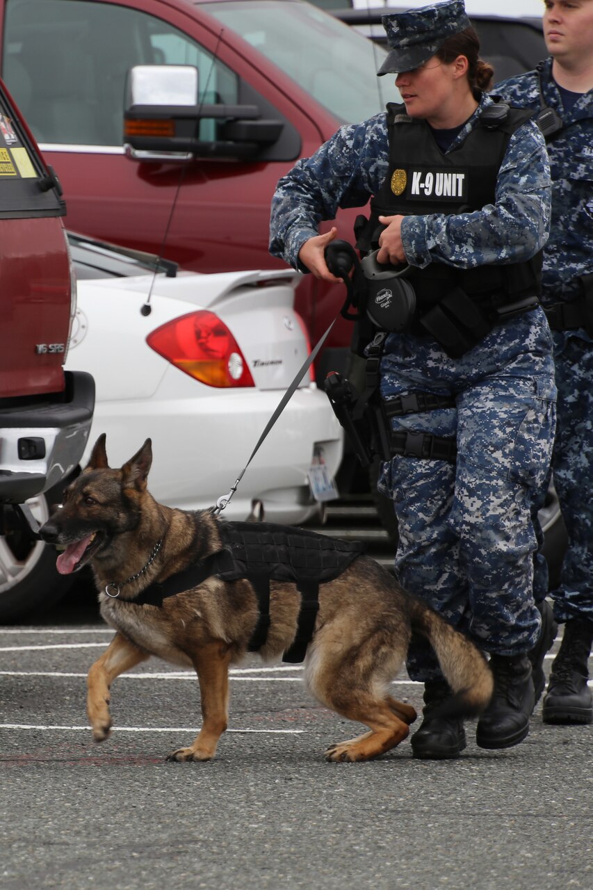 NASWI Hosts Open House > United States Navy > display-pressreleases