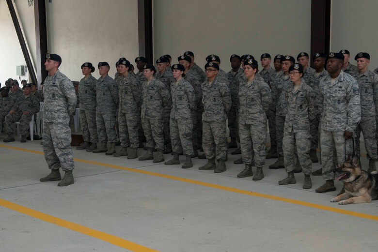 39th SFS welcomes new commander > Incirlik Air Base > Article Display