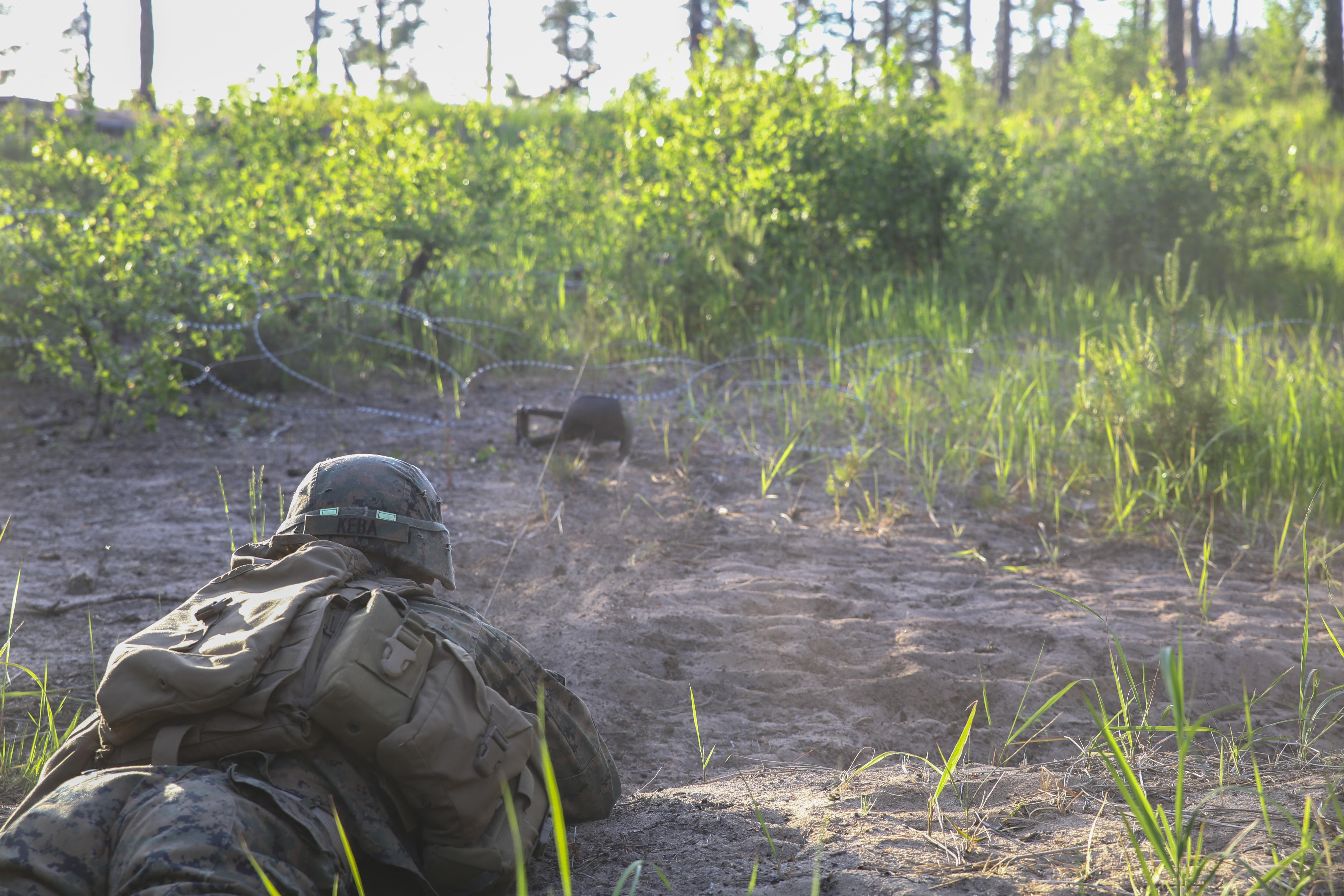 U.S. Marines, Allies defend Baltic Sea during crisis scenario > II ...
