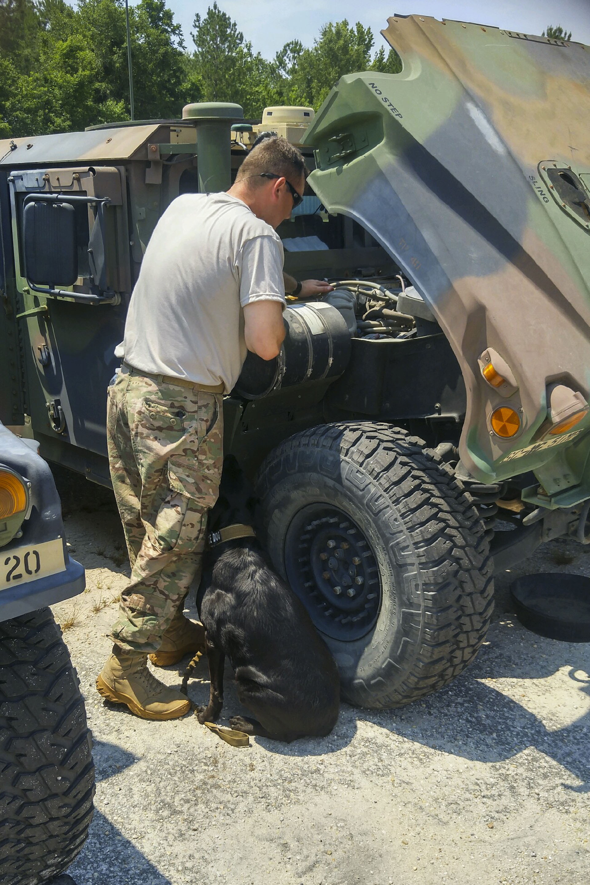 PTSD Awareness Month: South Carolina Soldier sheds light > National ...