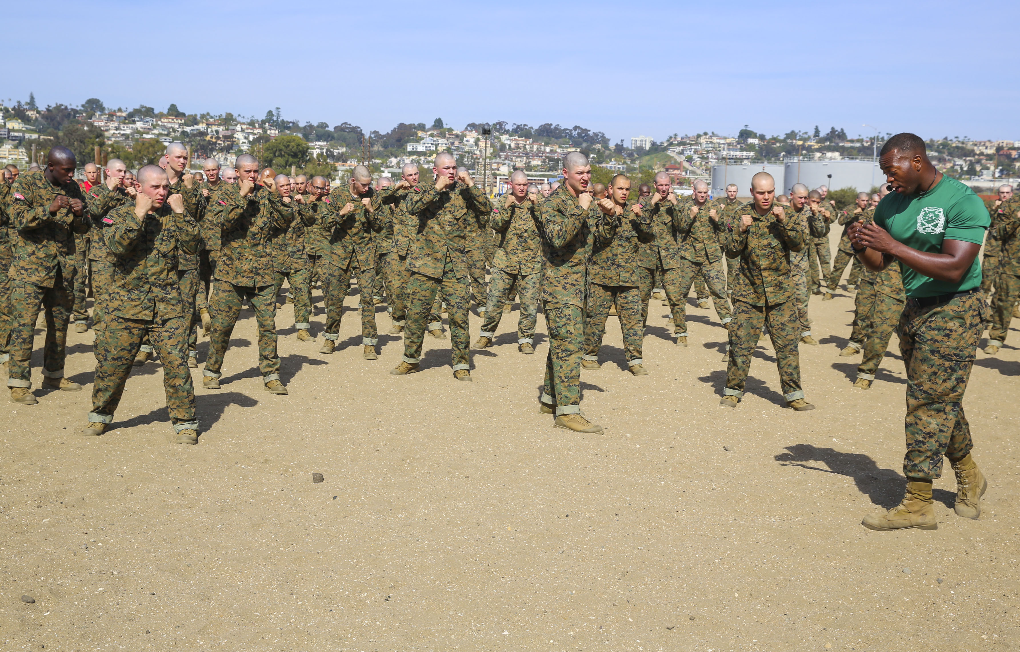 Co. C - Introduction to MCMAP and punches