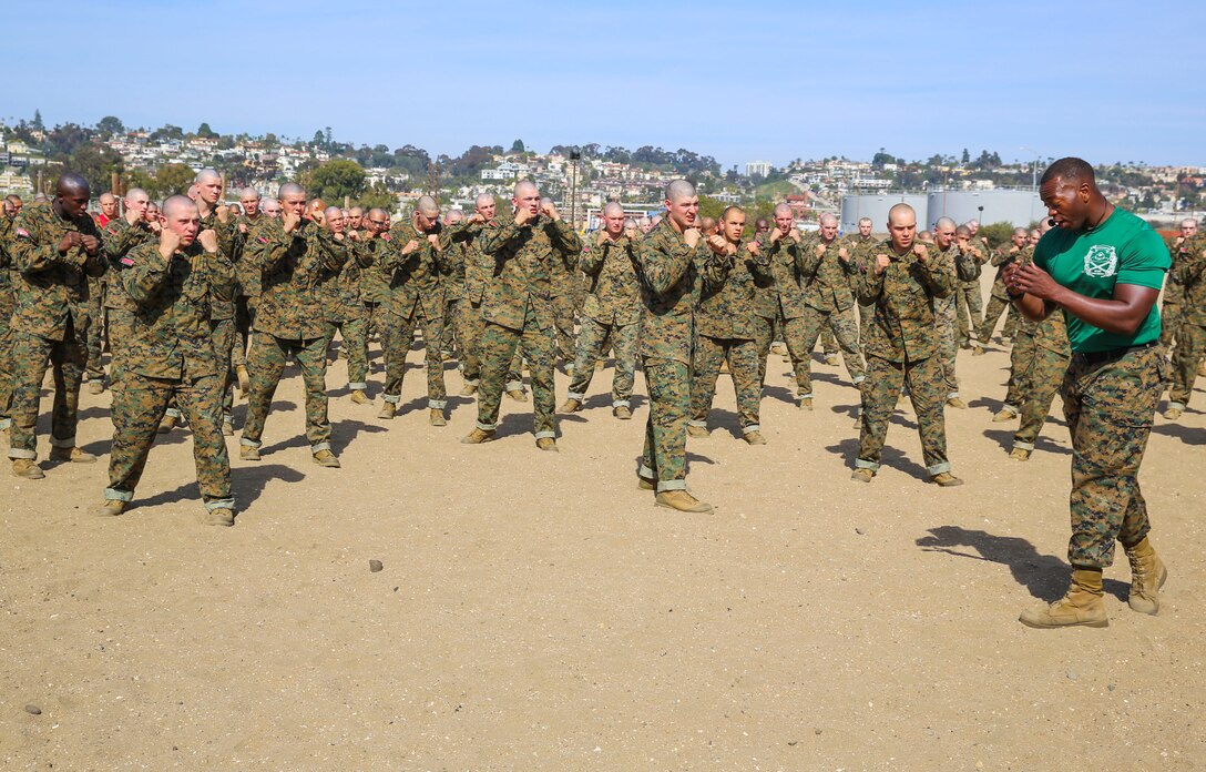 Co. C - Introduction to MCMAP and punches